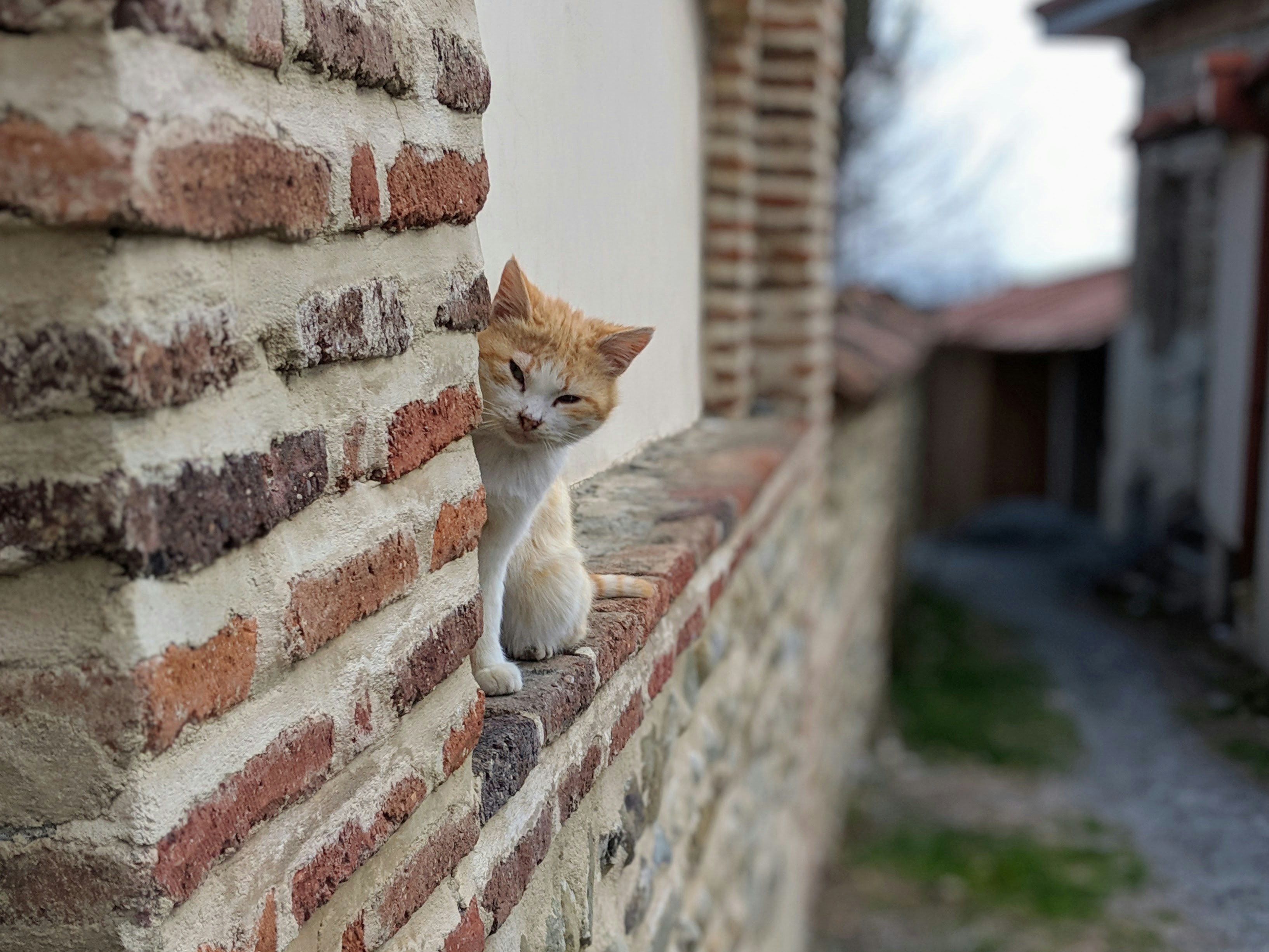 Hide and Seek