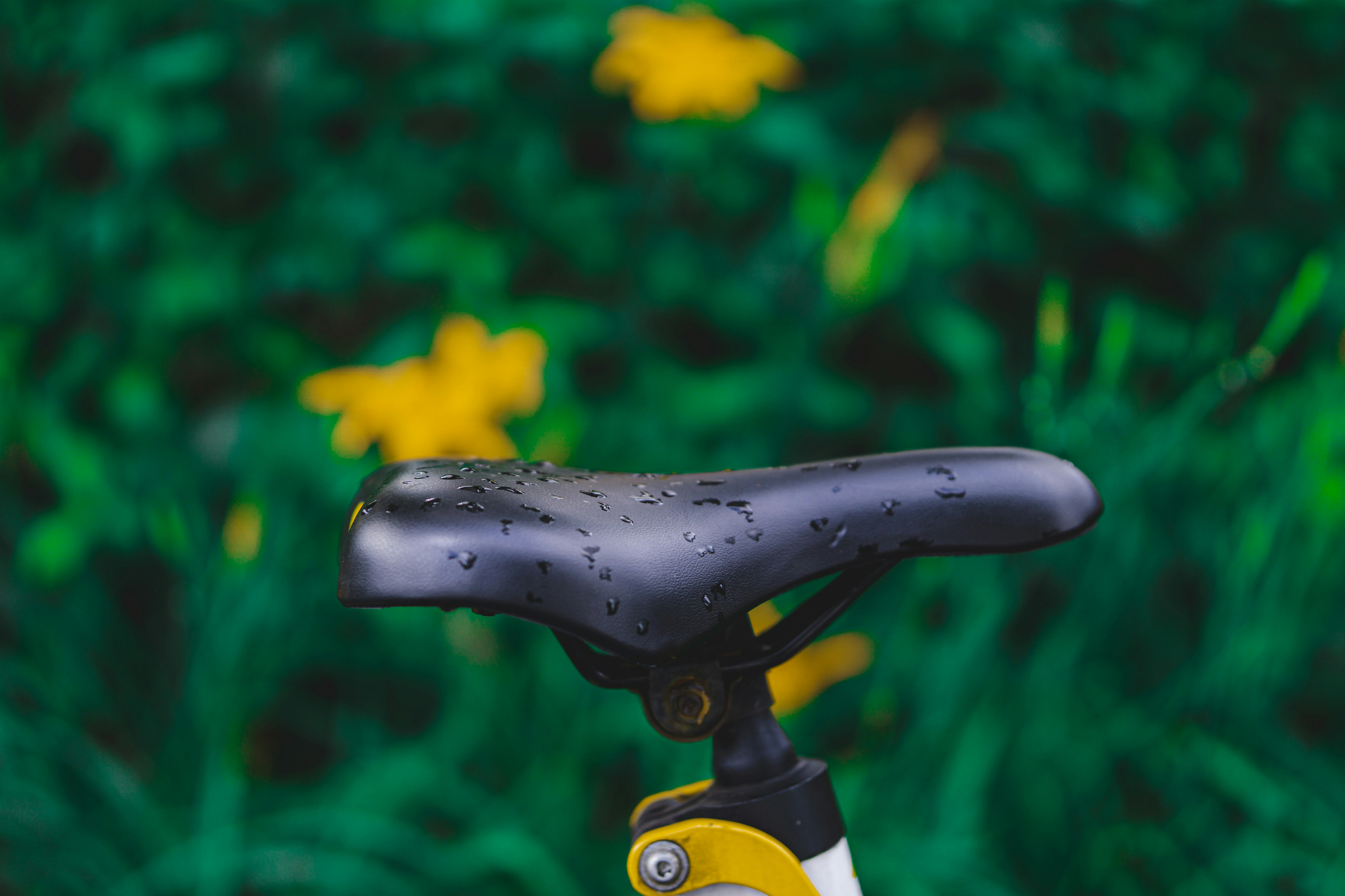 Close-up of a bicycle saddle glistening with raindrops, set against a backdrop of vibrant yellow flowers and lush green foliage.