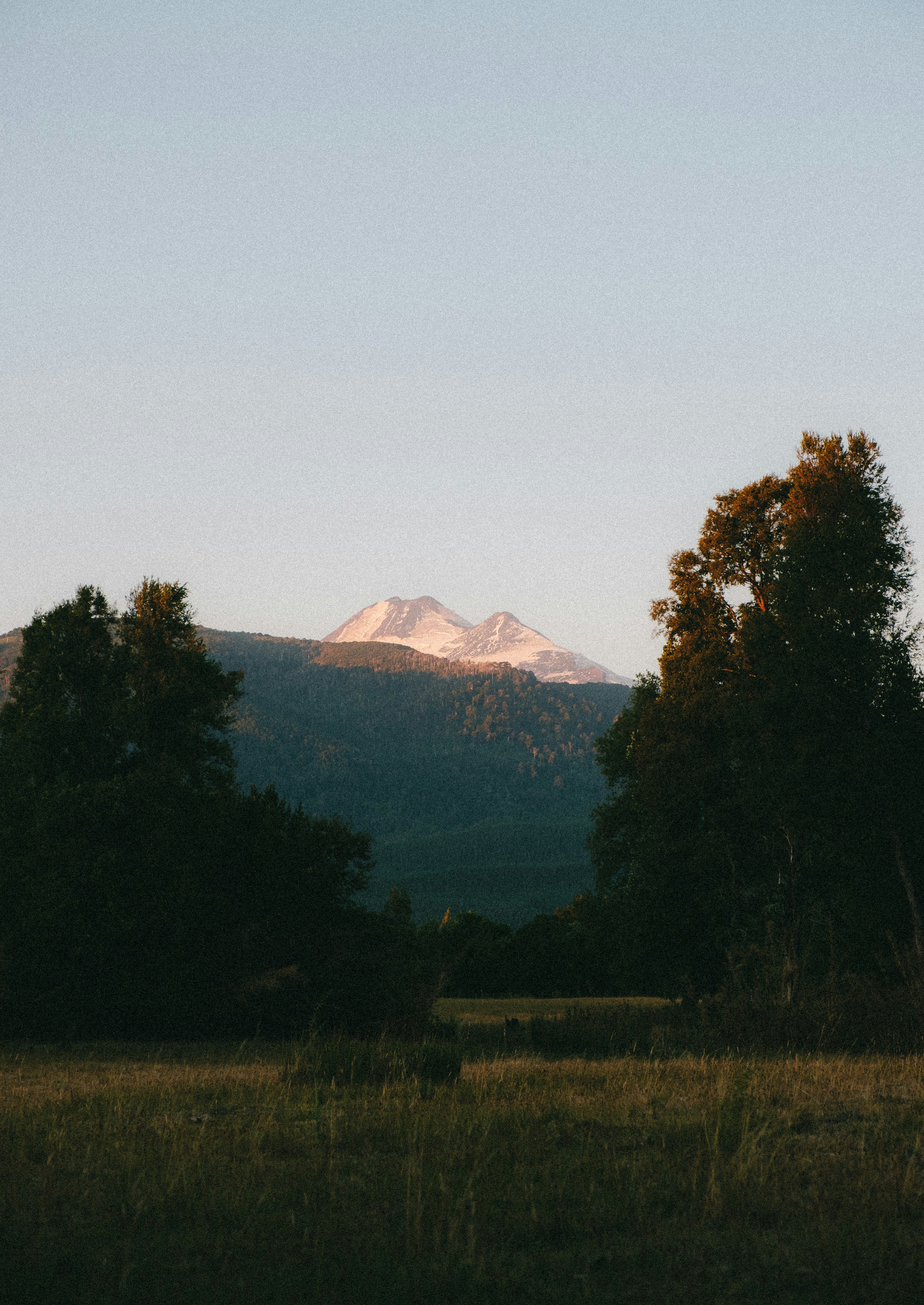 Snow-capped peaks rise above a tranquil valley, framed by lush trees under a clear sky.