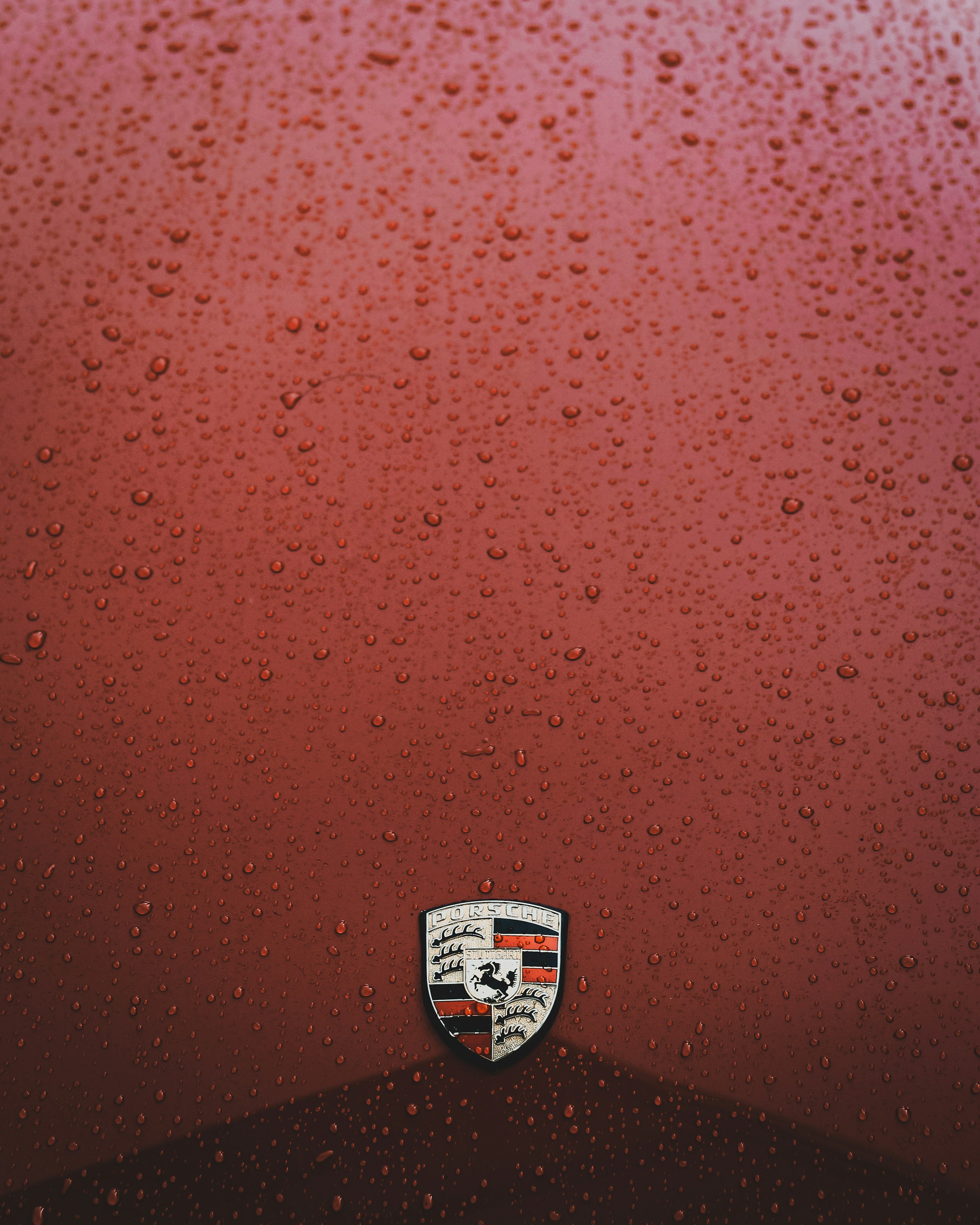 A close up of a car's emblem on a wet surface photo – Free Rwb Image on ...