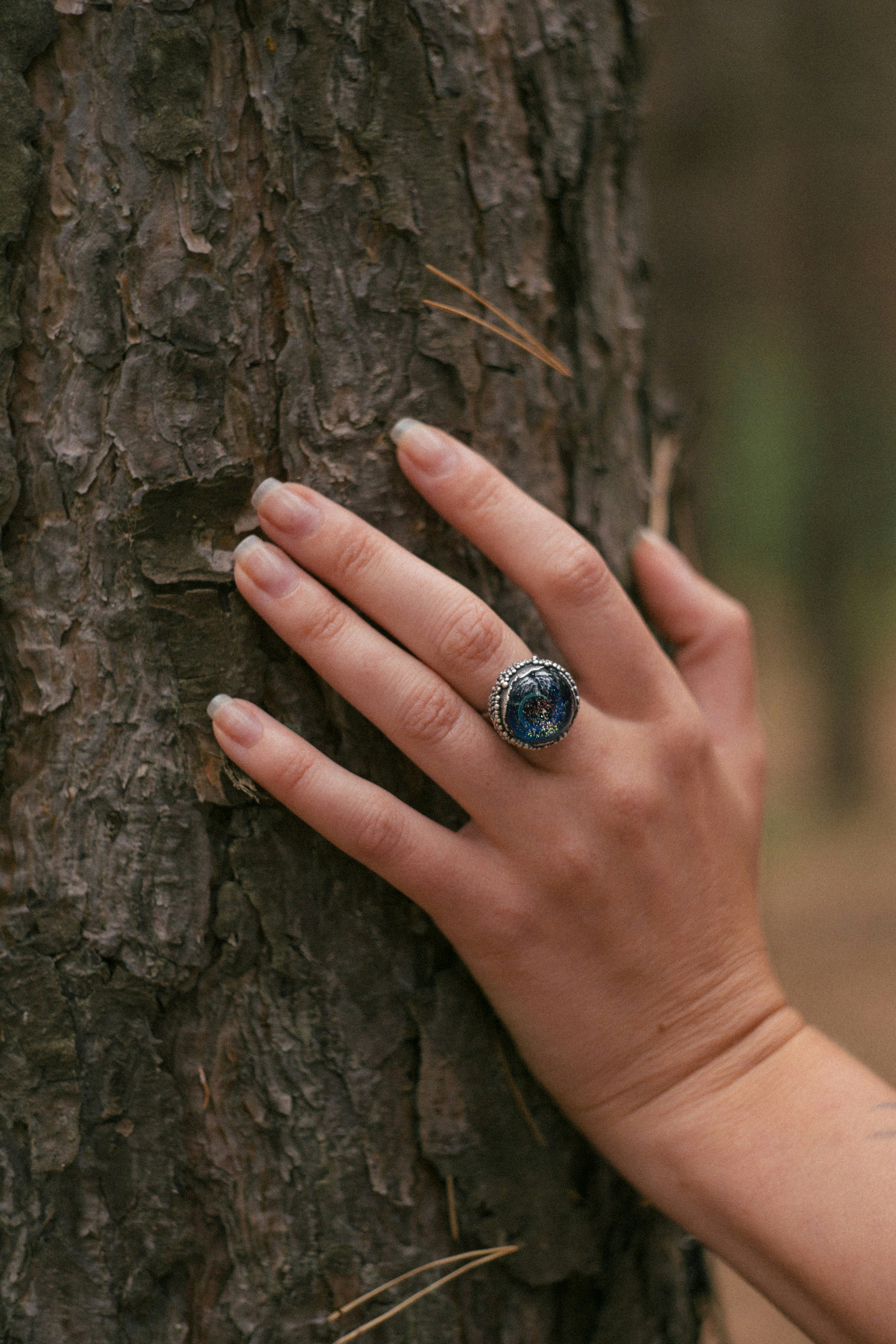 Blue gemstone on bark: a forest-hand moment of quiet contrast