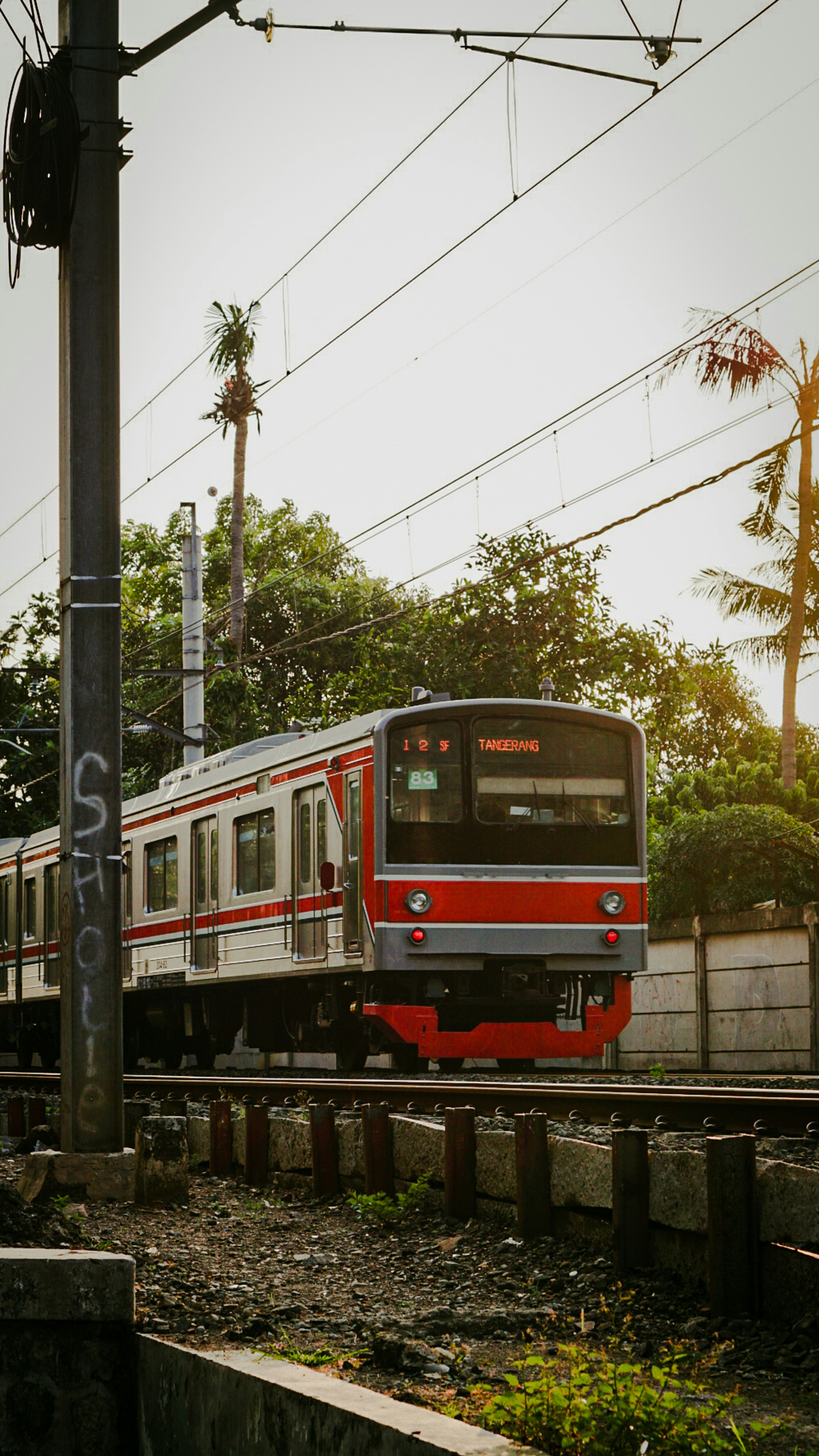 A commuter train traveling along its route, framed by palm trees and urban structures. The scene captures the essence of daily life in a bustling city.