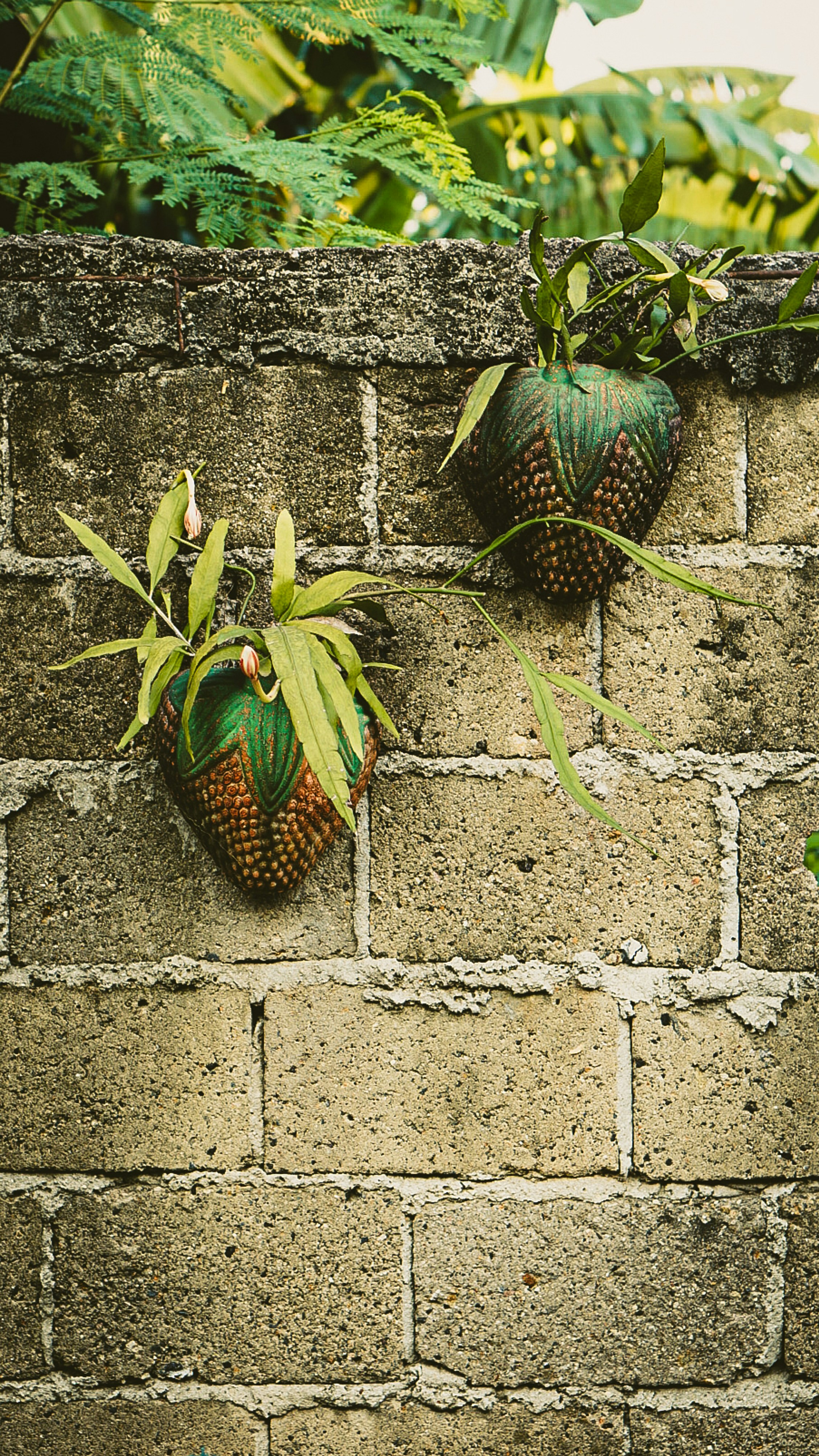Two decorative planters with vibrant greenery mounted on a textured concrete wall, showcasing a blend of nature and craftsmanship.