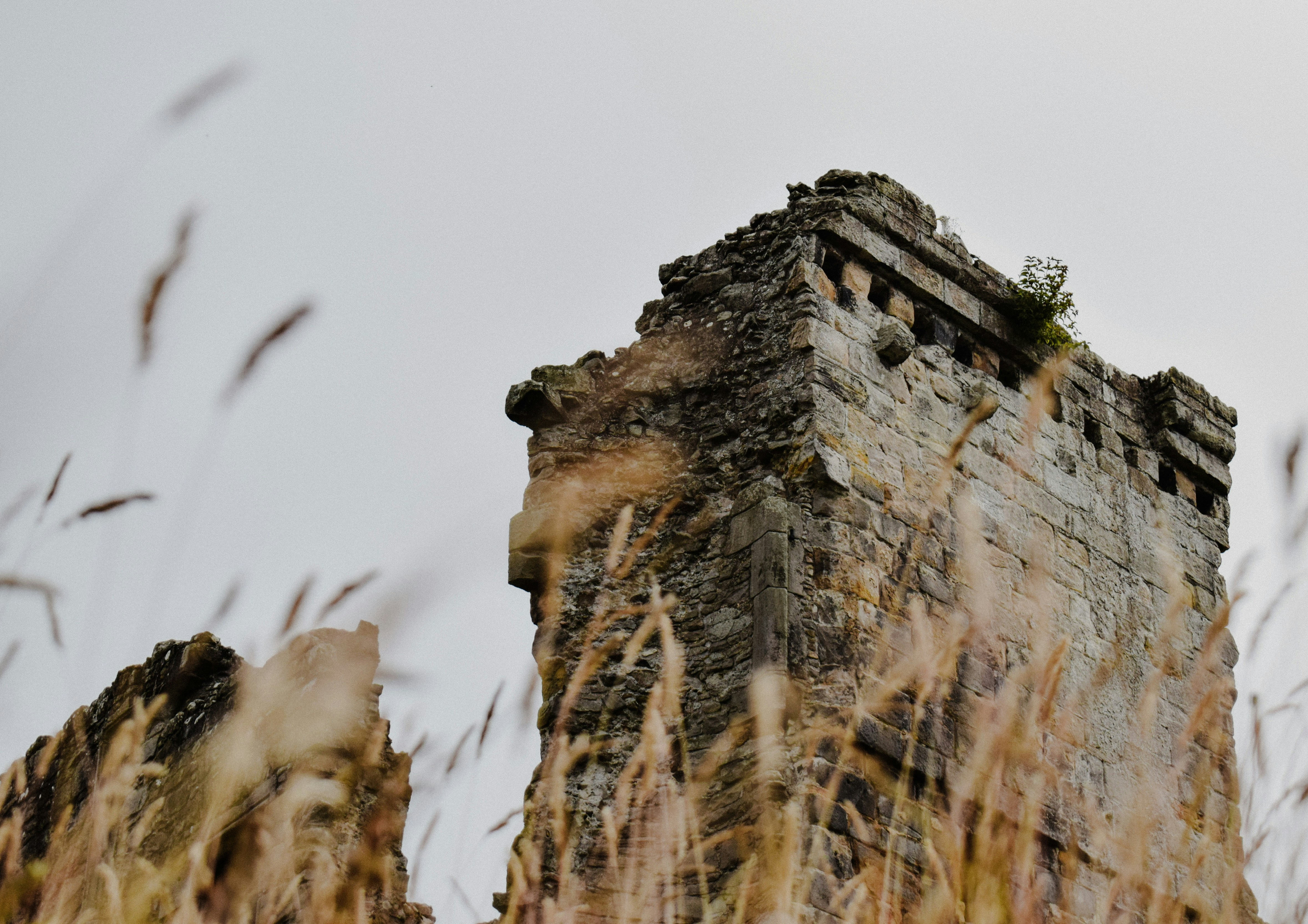 Ancient stone tower partially obscured by tall grass, hinting at a rich history. The structure stands resilient against the elements.