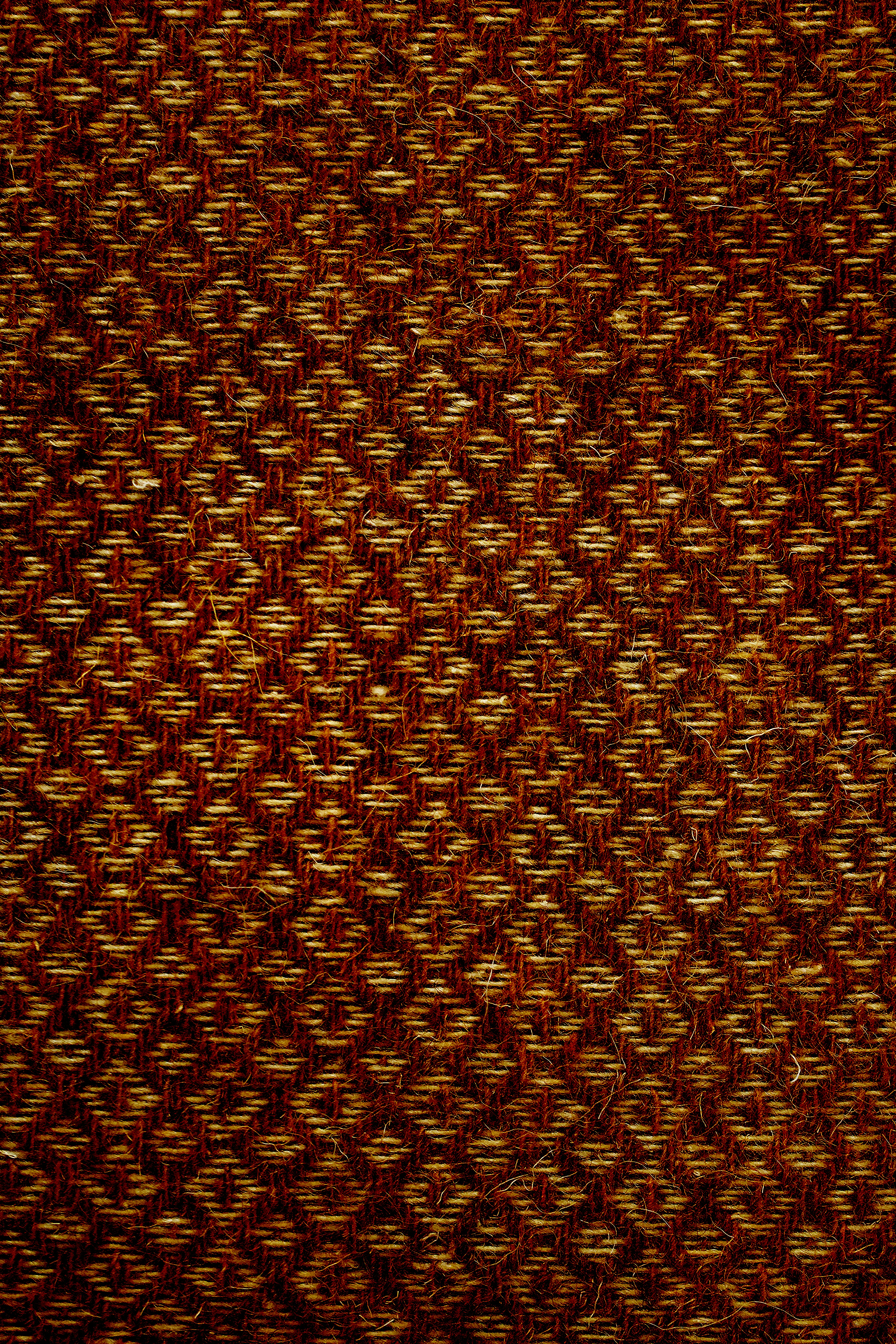 Photo by Allec Gomes with Nikon D7100