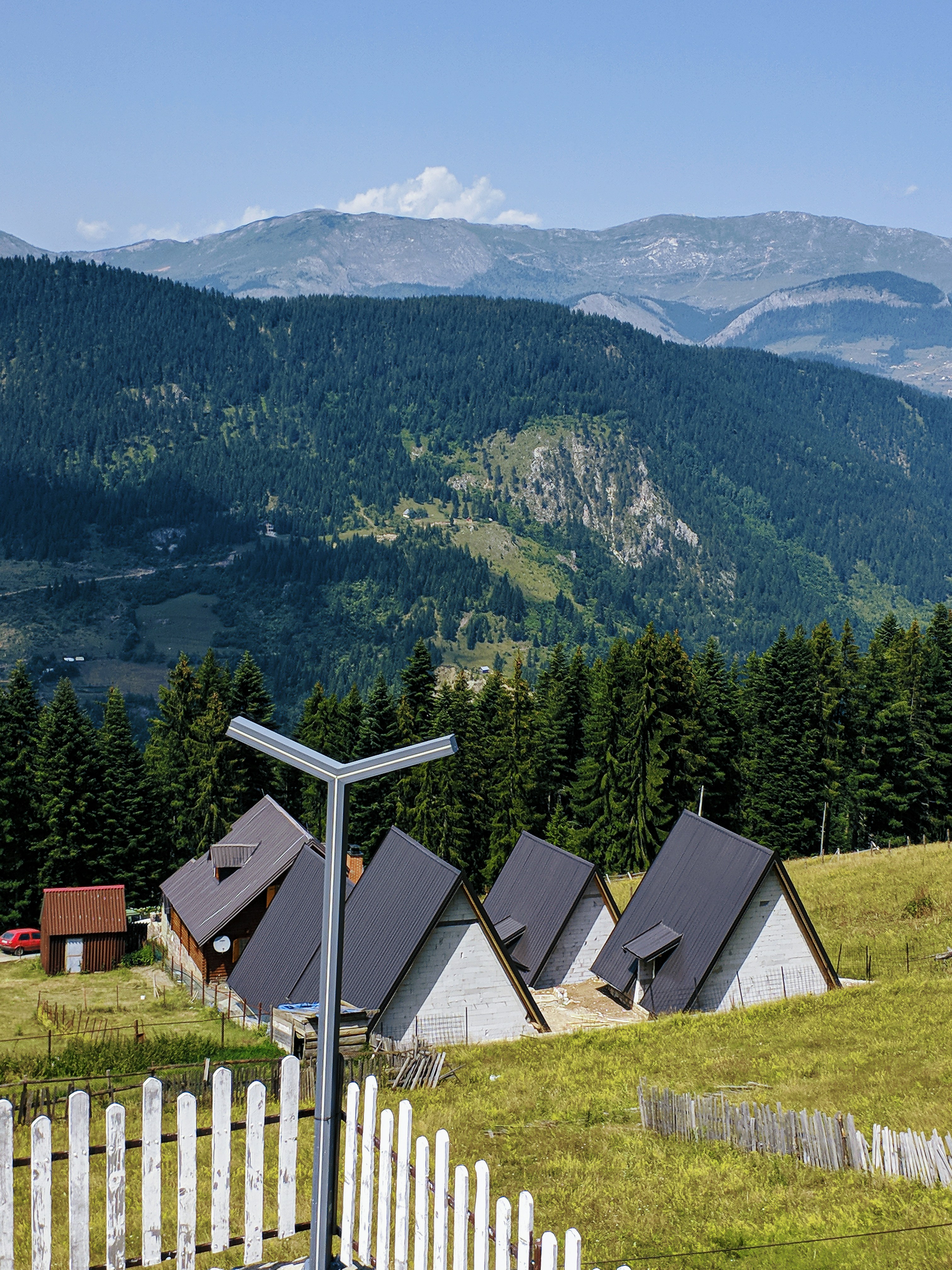 A Alpine Studio Row Beneath the Pines