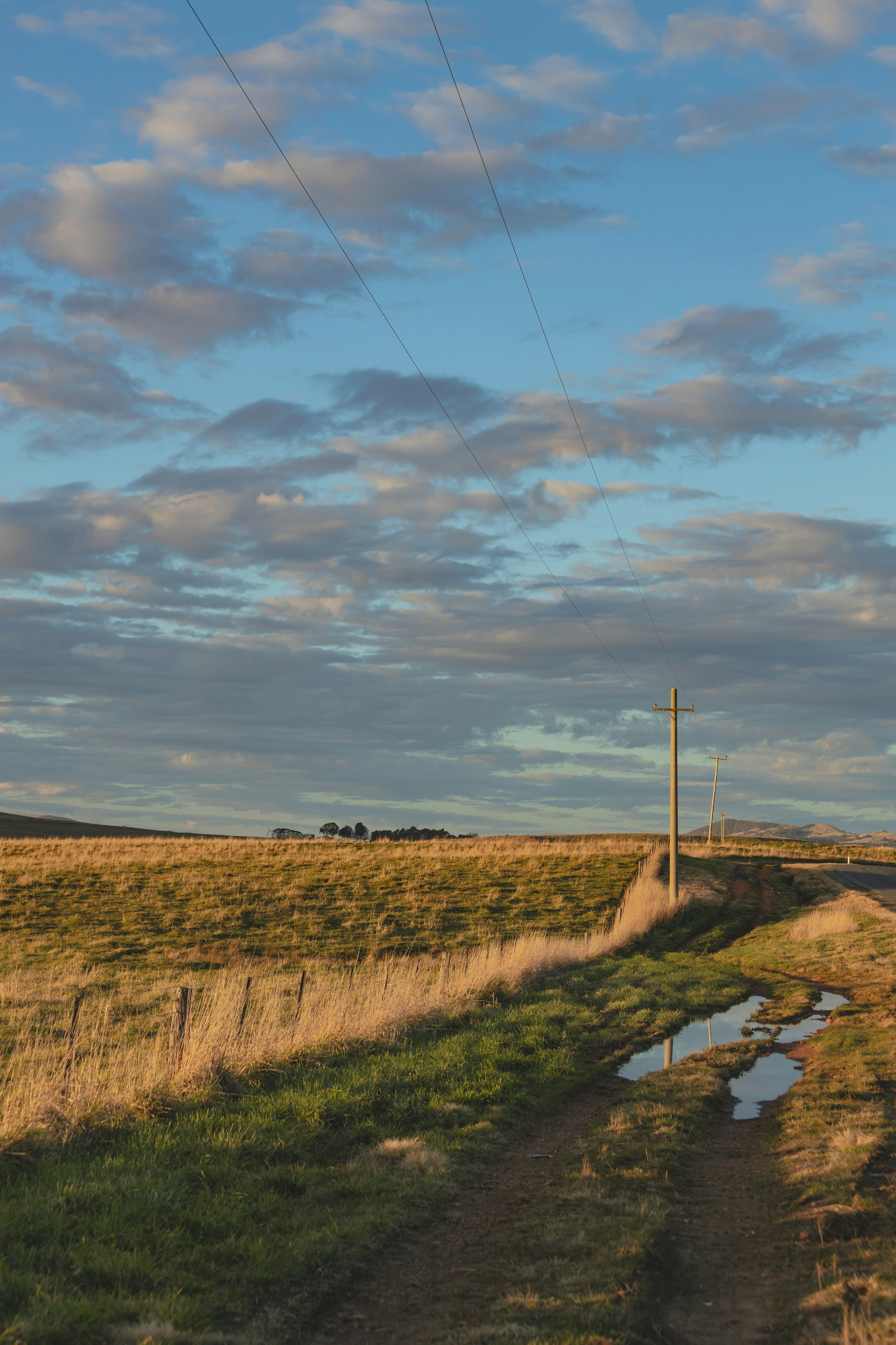 Brown grass field under cloudy sky during daytime photo – Free Canberra ...