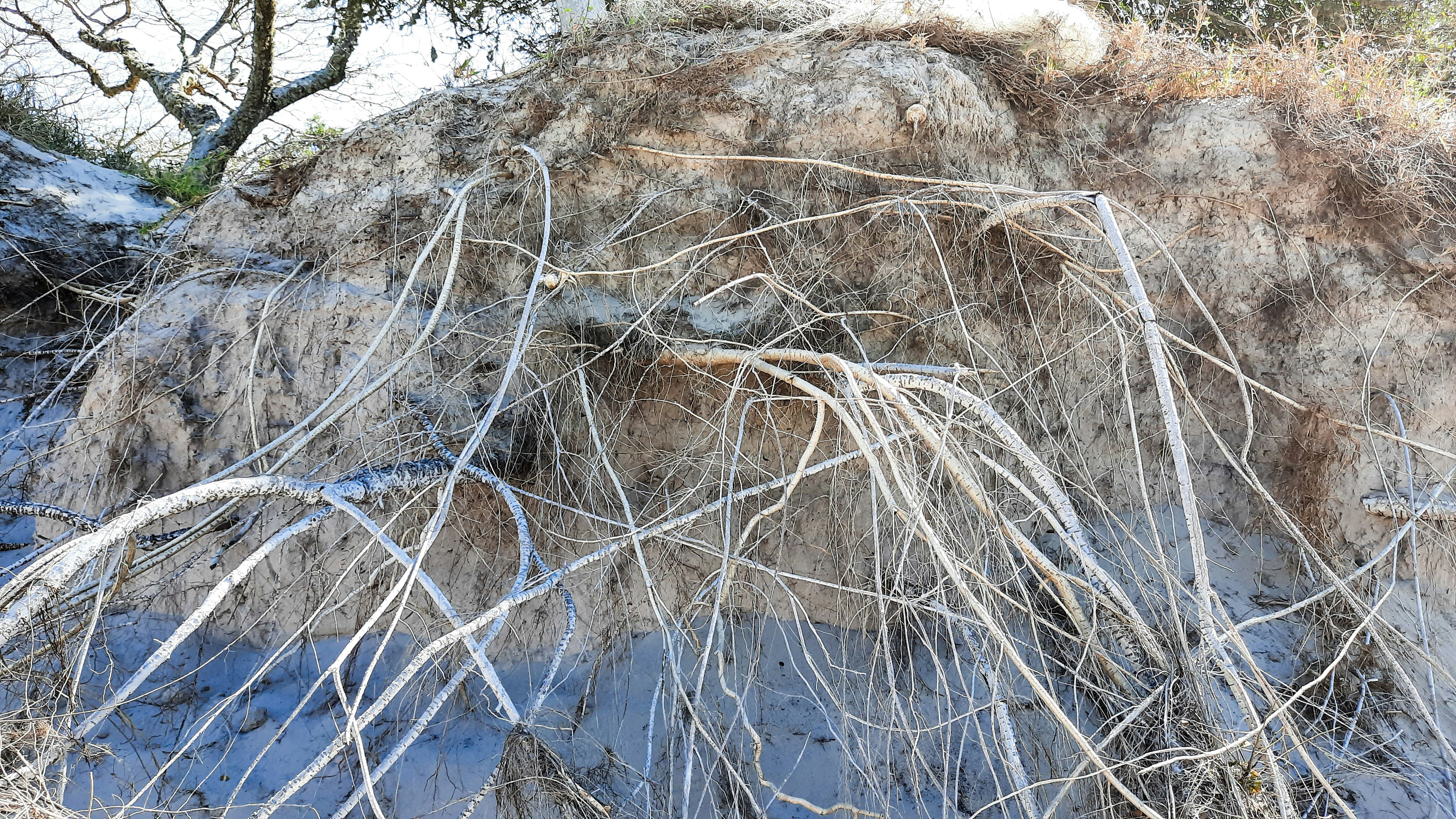 Traditional Knowledge: Indigenous Methods Minimizing Erosion Sustainably