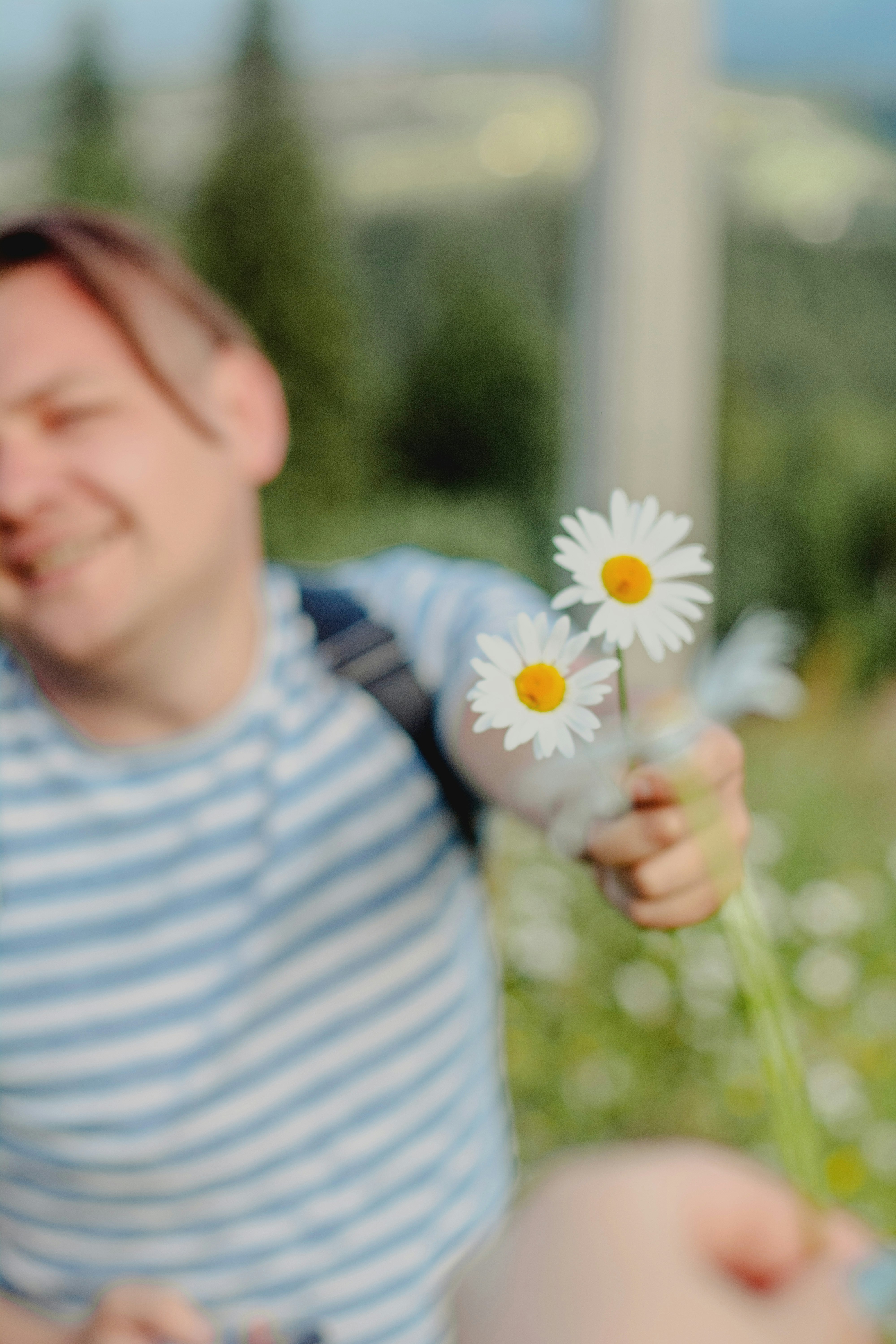 Daisy Grins: A Blurred Moment of Summer Cheer