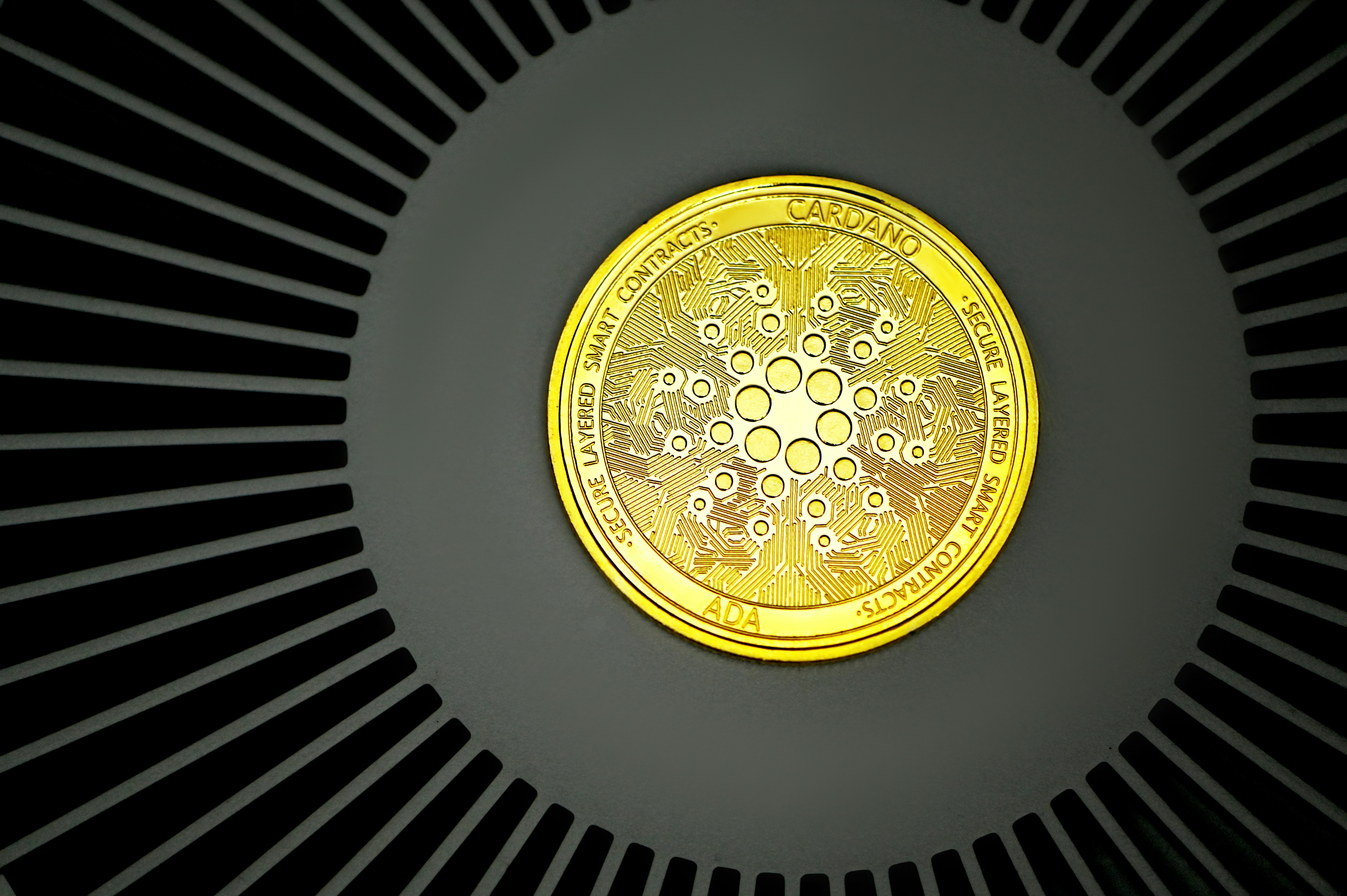 Golden Coin Centered in Circular Radiating Frame