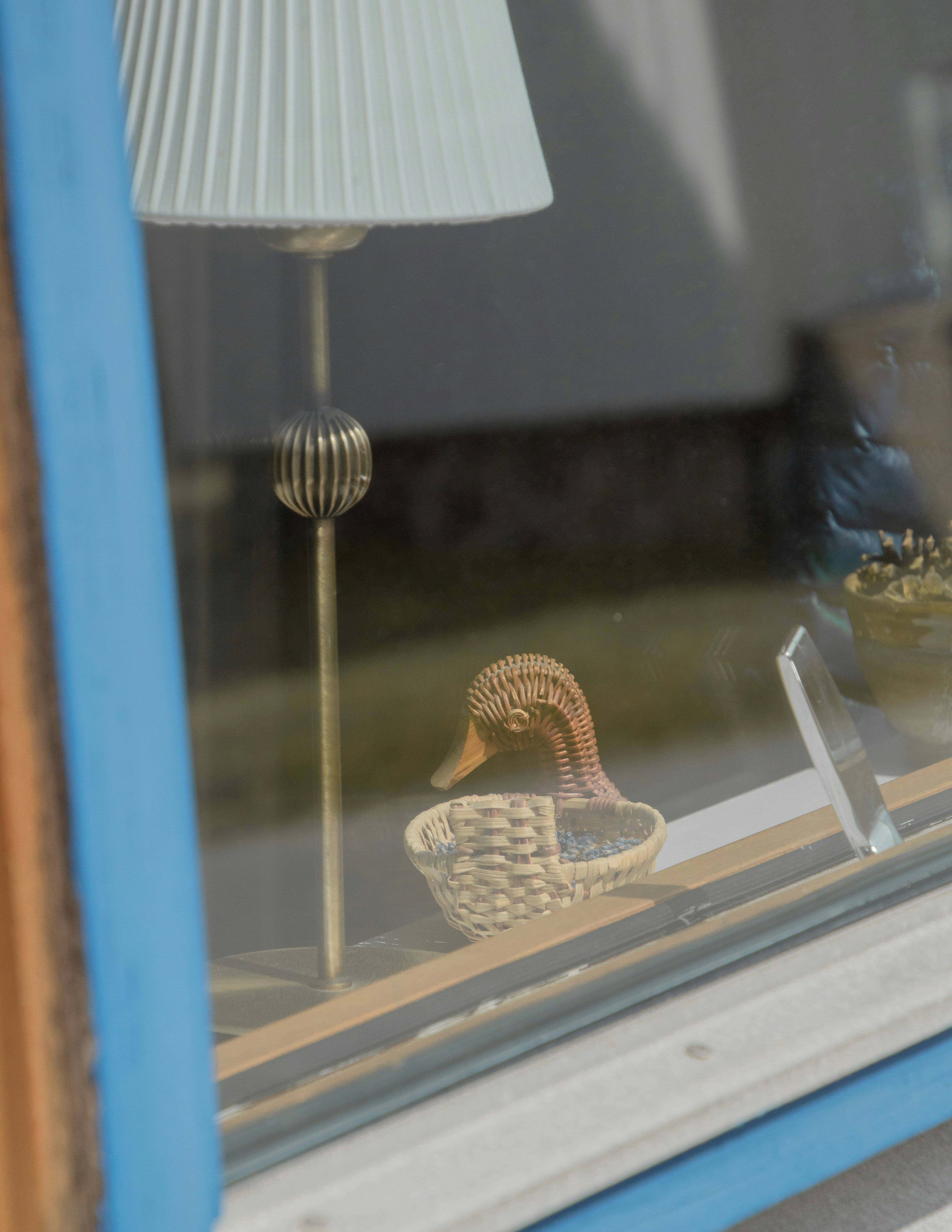 Duck on Display: Quiet Window Scene Through Glass