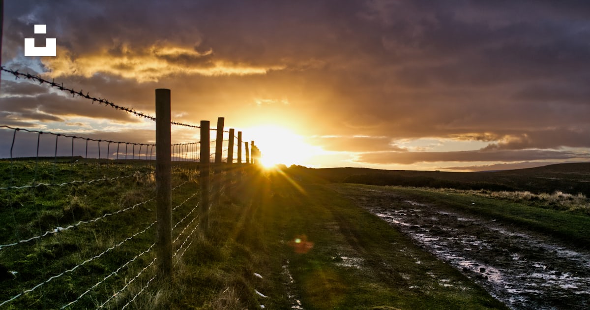 Green Grass Field Near Body Of Water During Sunset Photo Free Sunset
