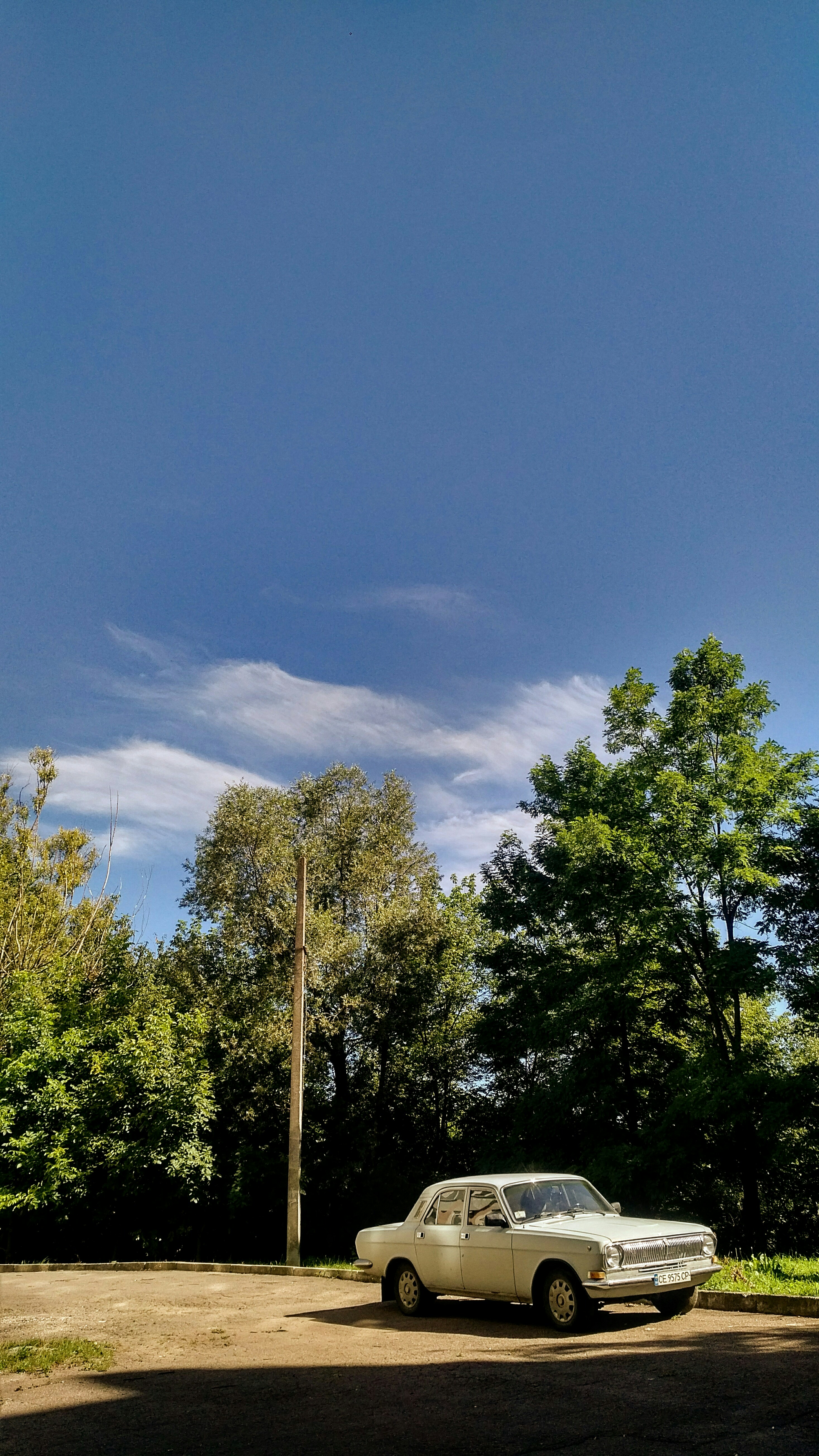 A vintage white sedan parked on a dirt lot beside a line of trees under a clear blue sky. The image captures a quiet, nostalgic automotive scene against nature.