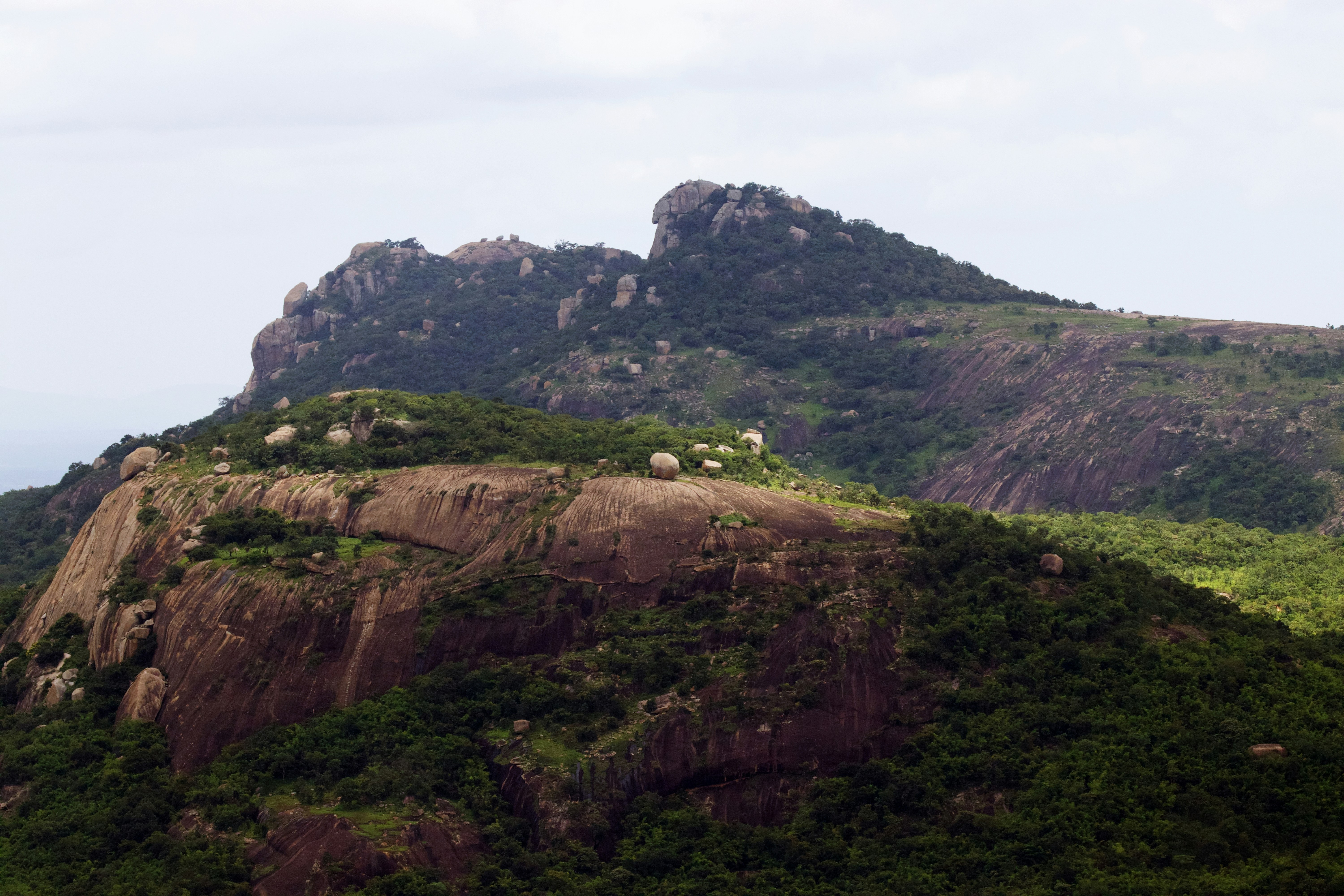 Ridge Crown: Granite Promontory Among Green Canopies