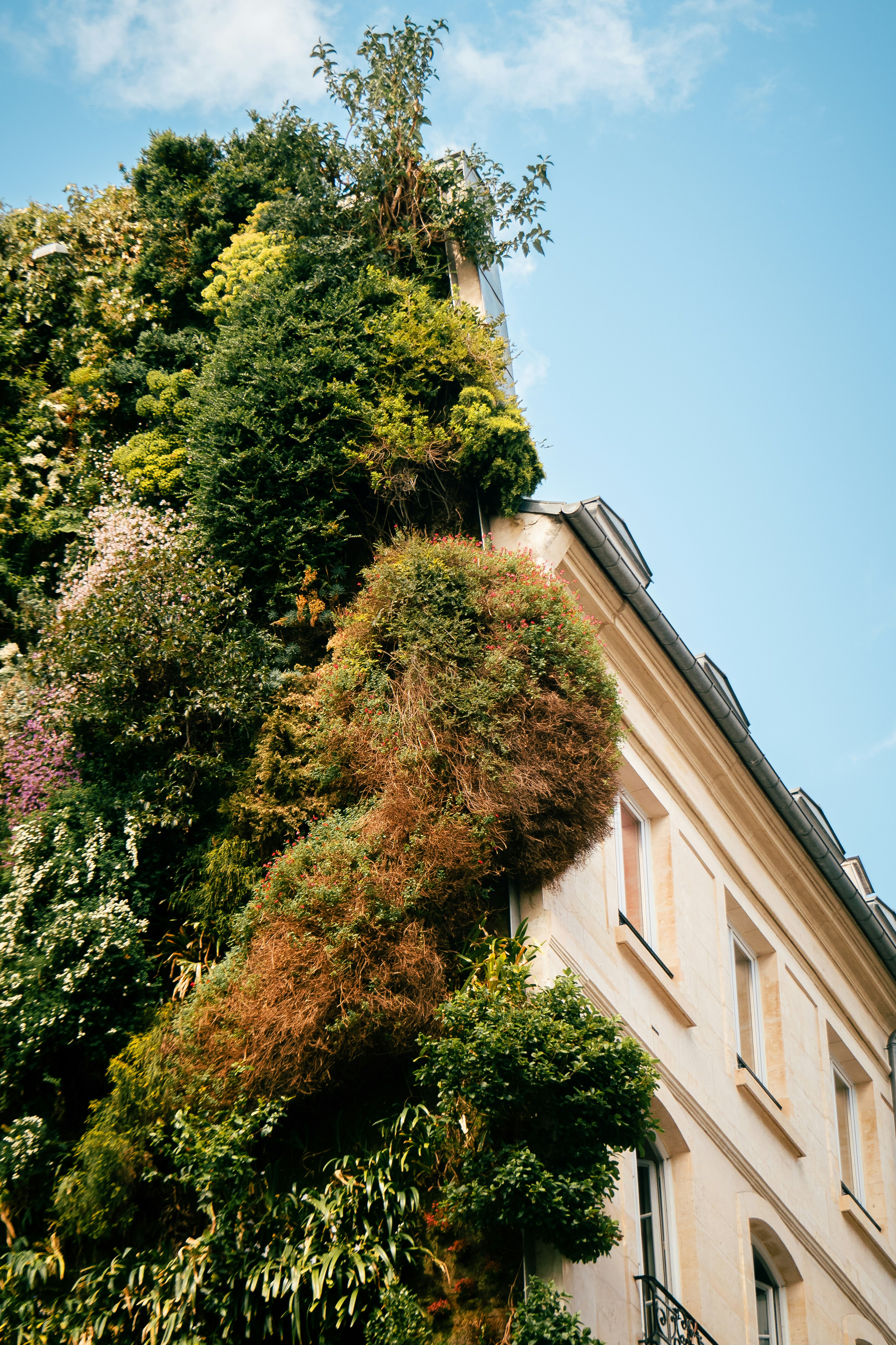 Lush vertical garden cascading down a building façade, showcasing a variety of plants and flowers. The vibrant greens contrast beautifully with the architectural lines of the structure.
