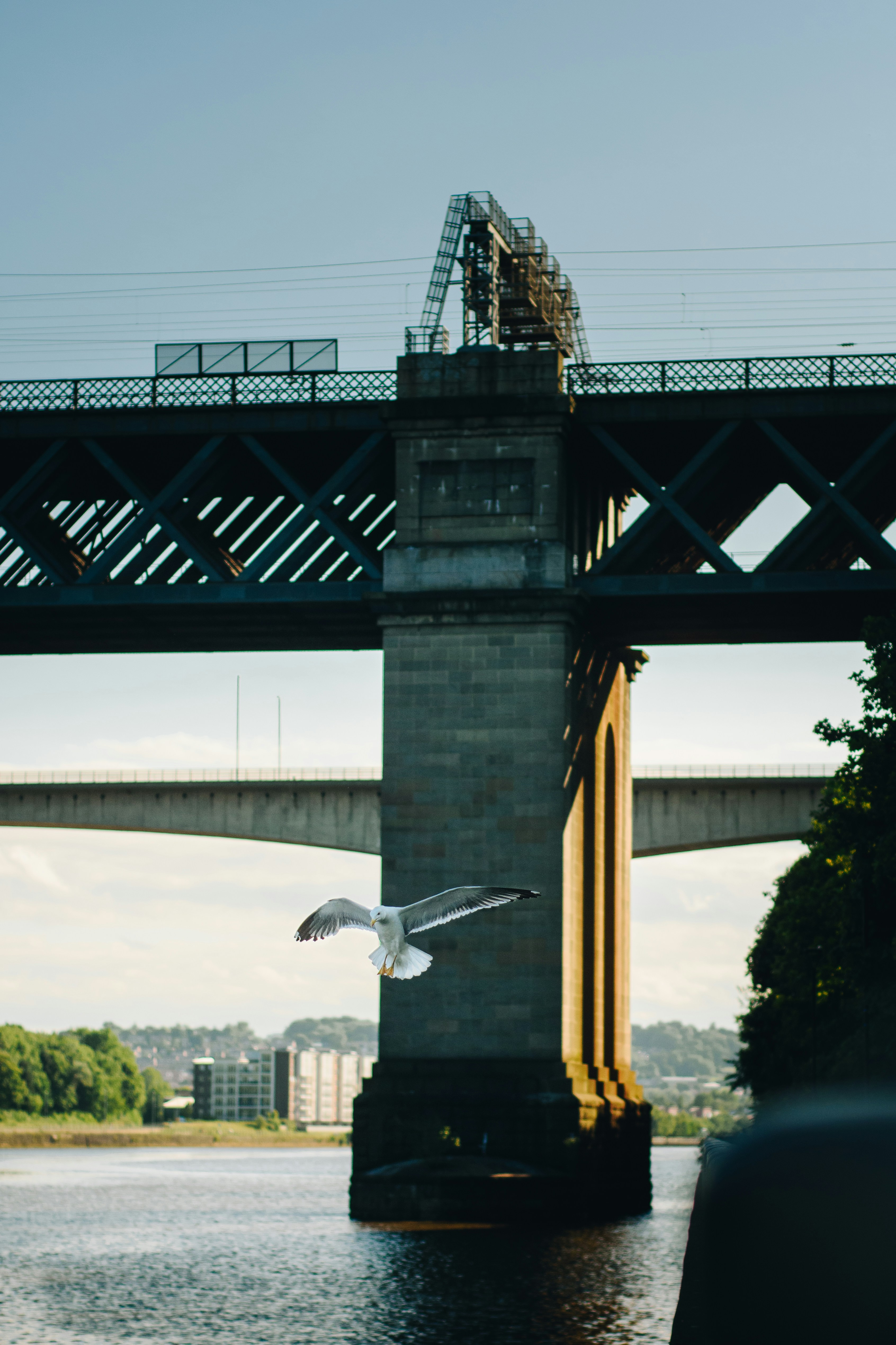 Hovering the Bridge