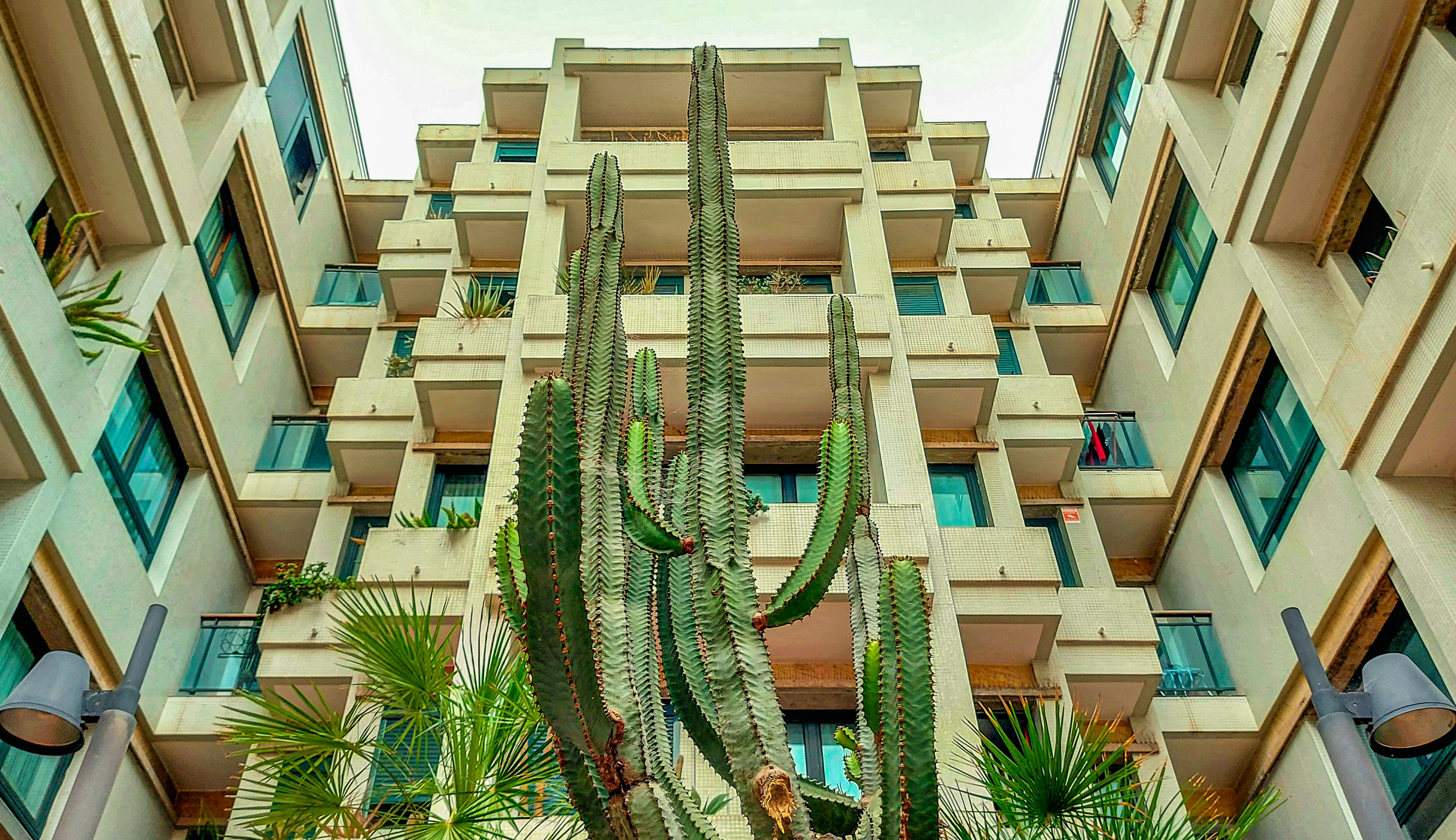 Urban Oasis: Nature's Resilience Amid Concrete