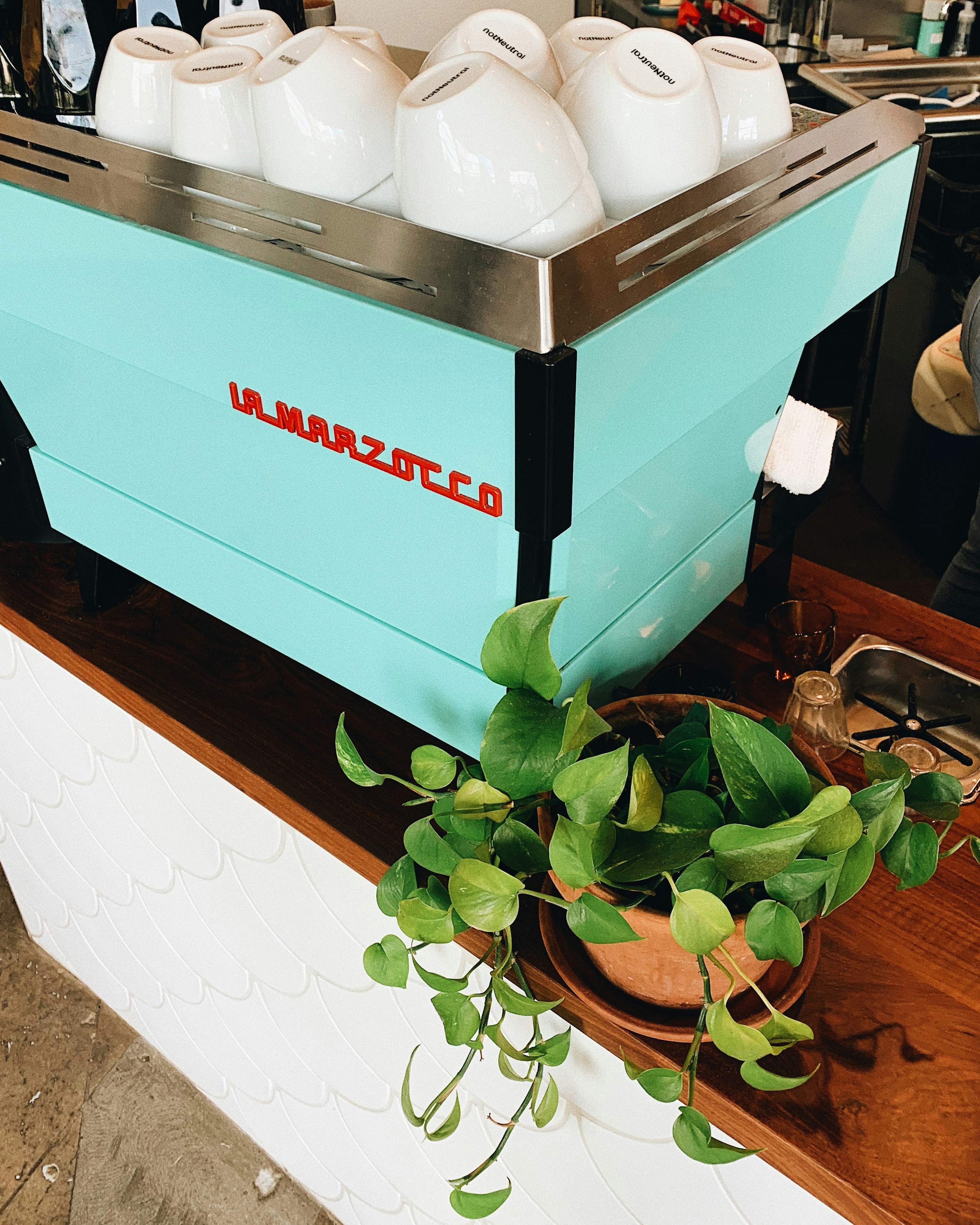 Vibrant aqua espresso machine adorned with white cups, complemented by a lush green plant in a cozy café setting.