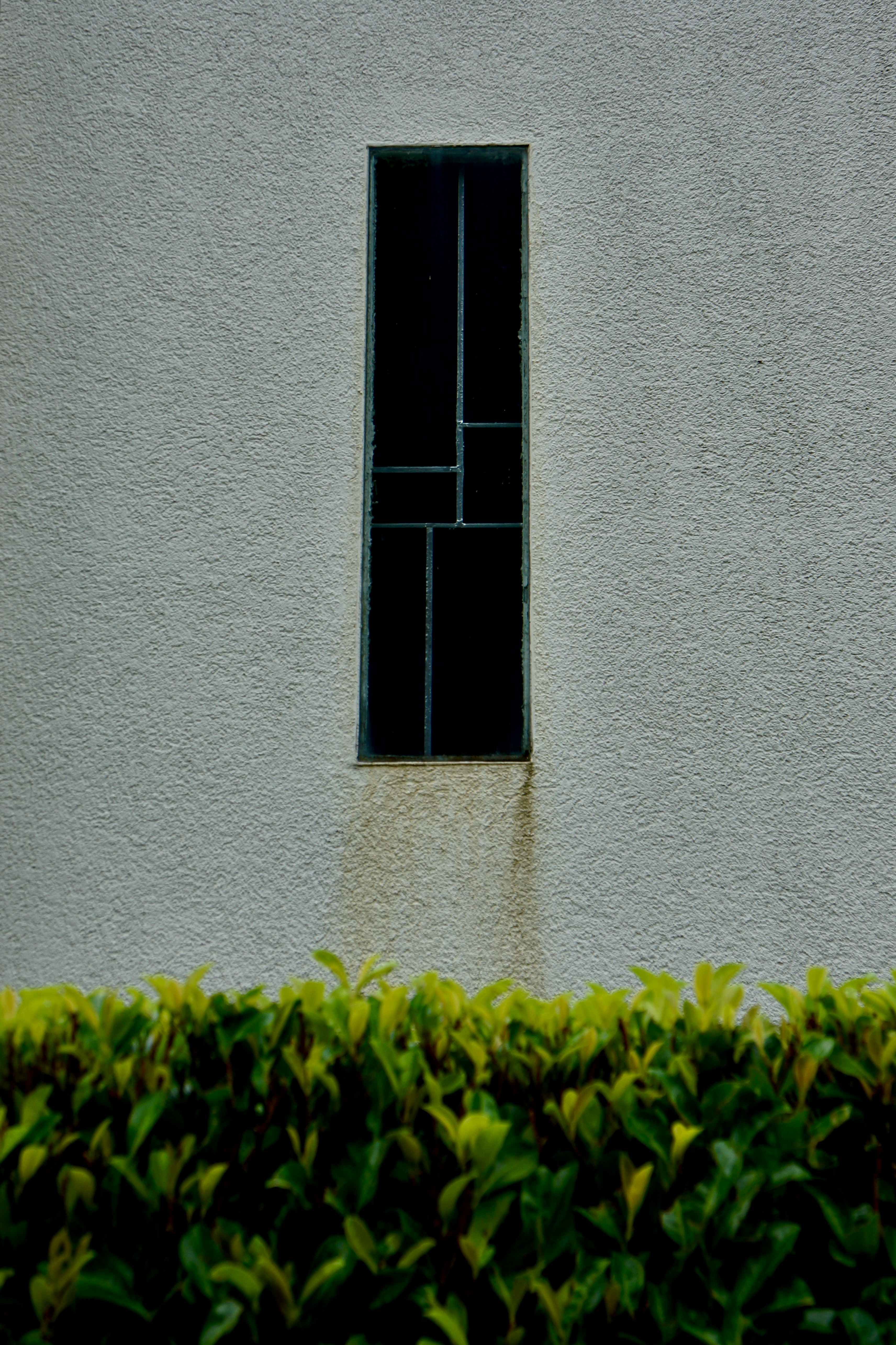 Photo by Peter Burdon with Sony NEX-7