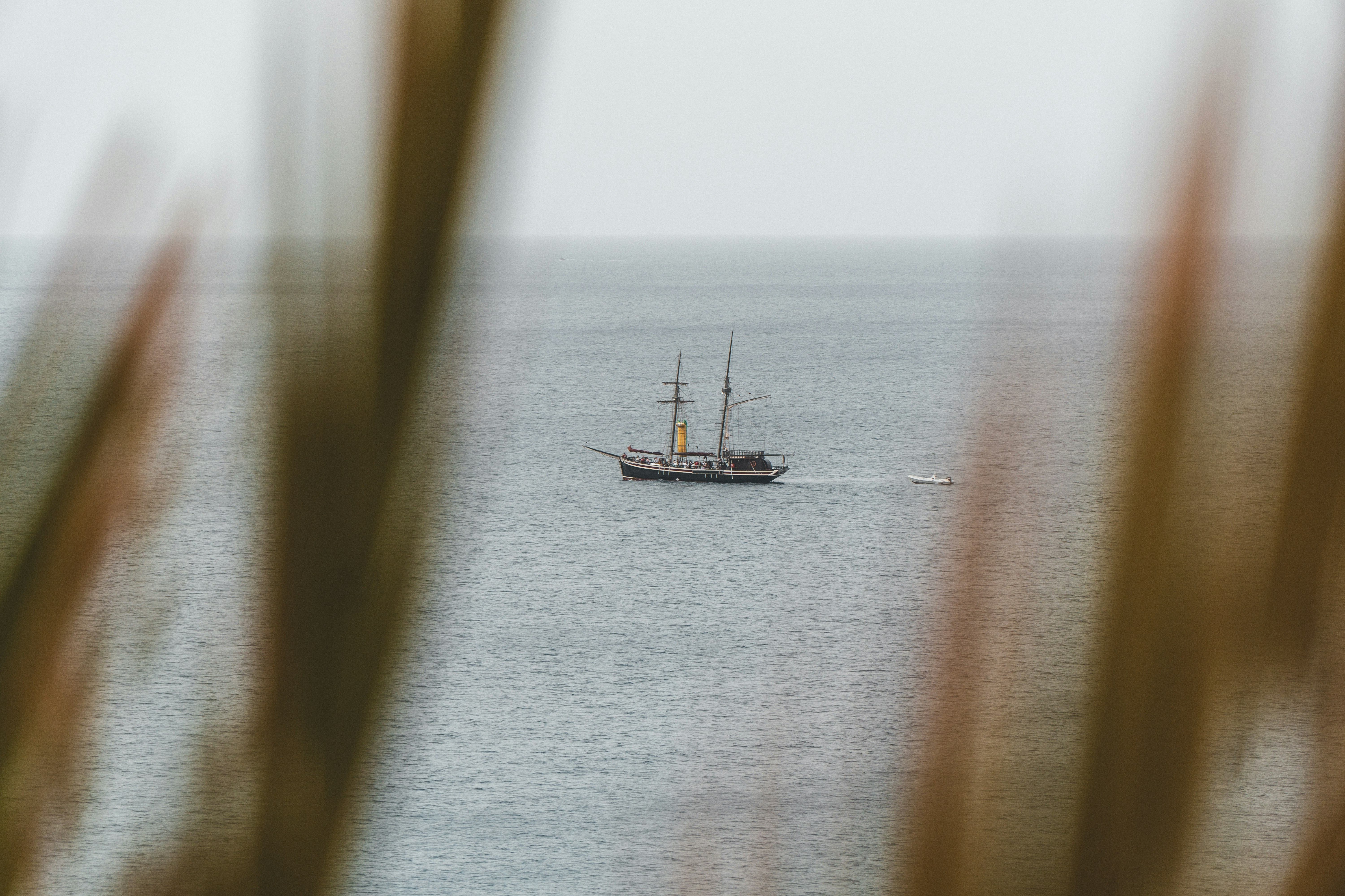 A distant schooner afloat in a quiet sea, framed by blurred reeds
