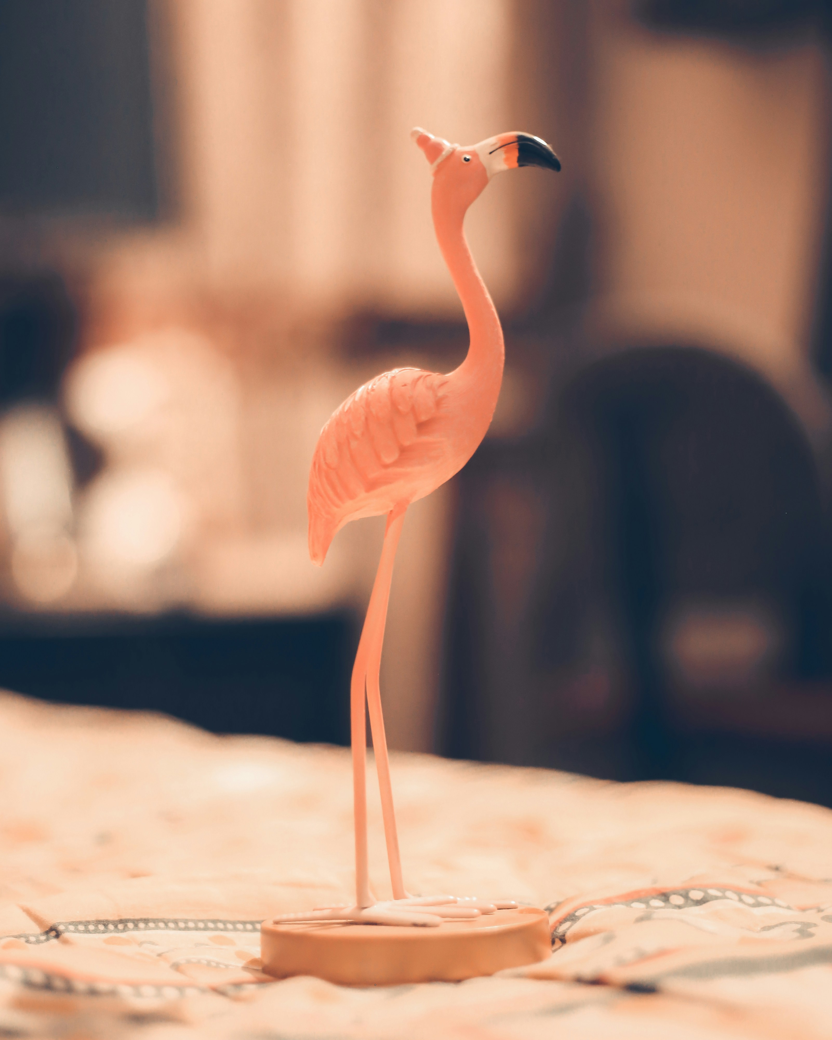 pink flamingo on brown sand during daytime