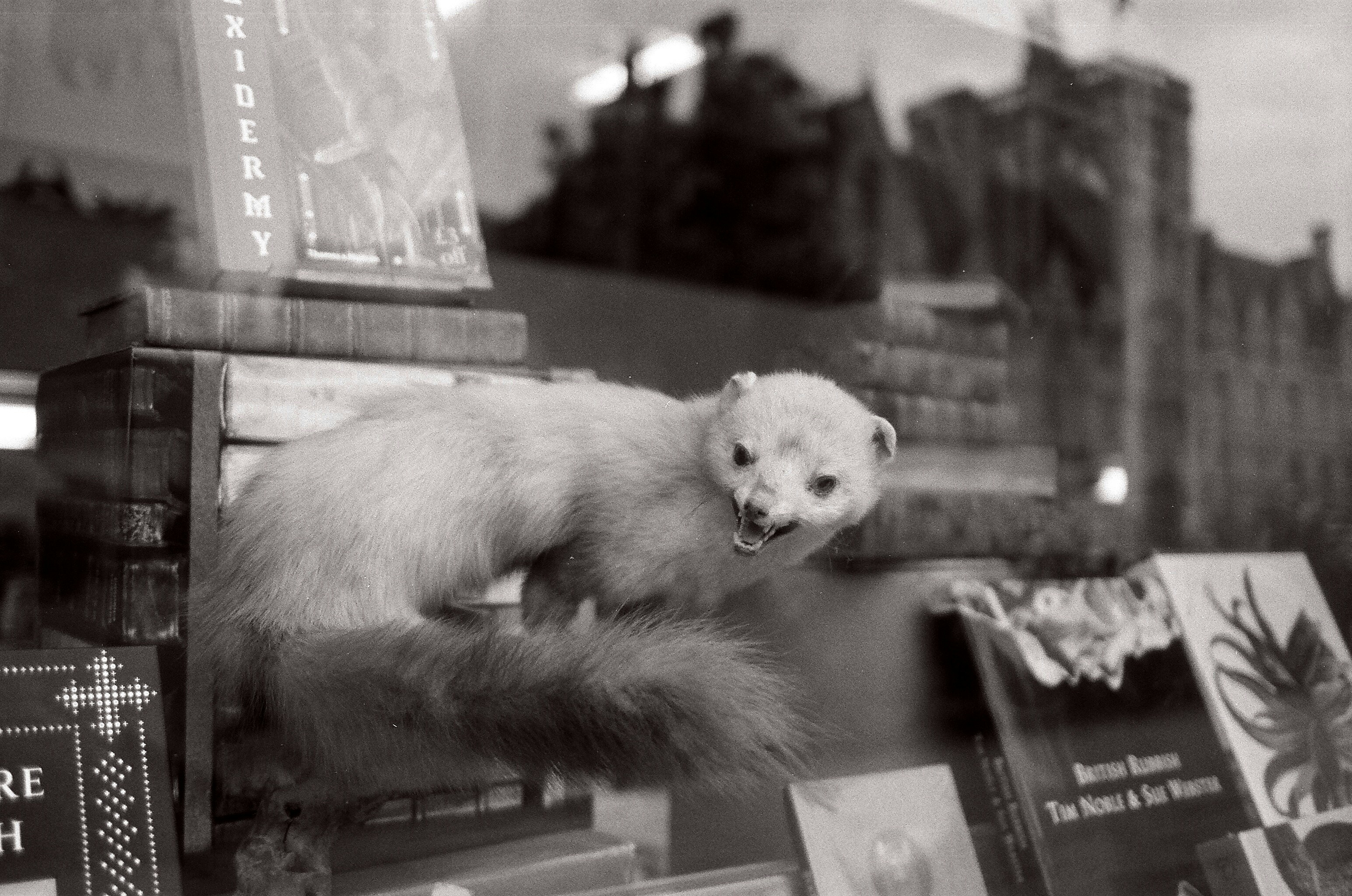 Photo by Rach Teo with Noritsu QSS-31