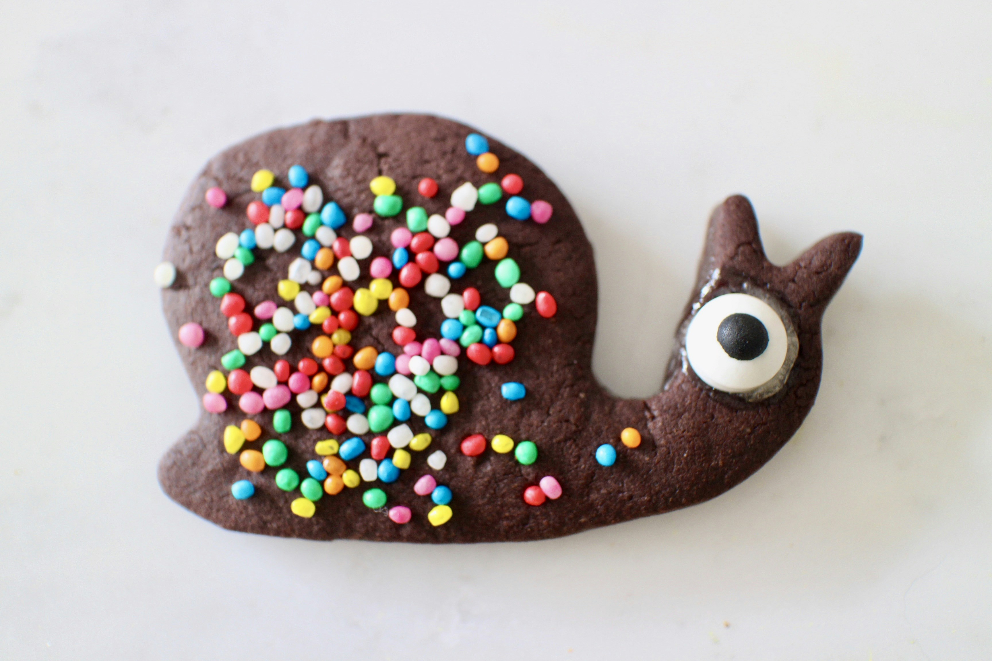 Chocolate cookie shaped like a snail, adorned with colorful sprinkles and a candy eye.
