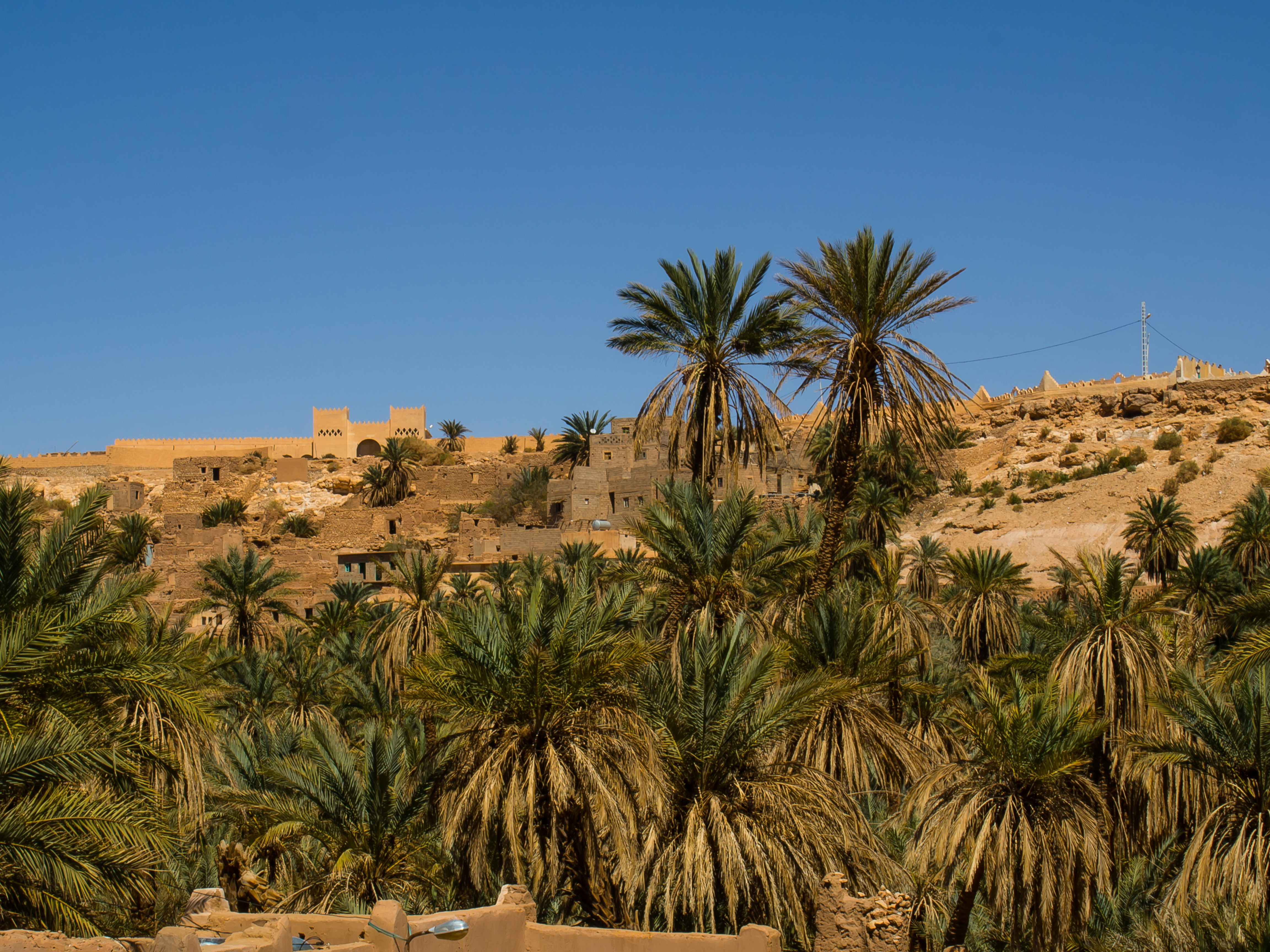 Lush palm trees thrive in a desert oasis, with ancient structures nestled against a sandy hillside under a clear blue sky.