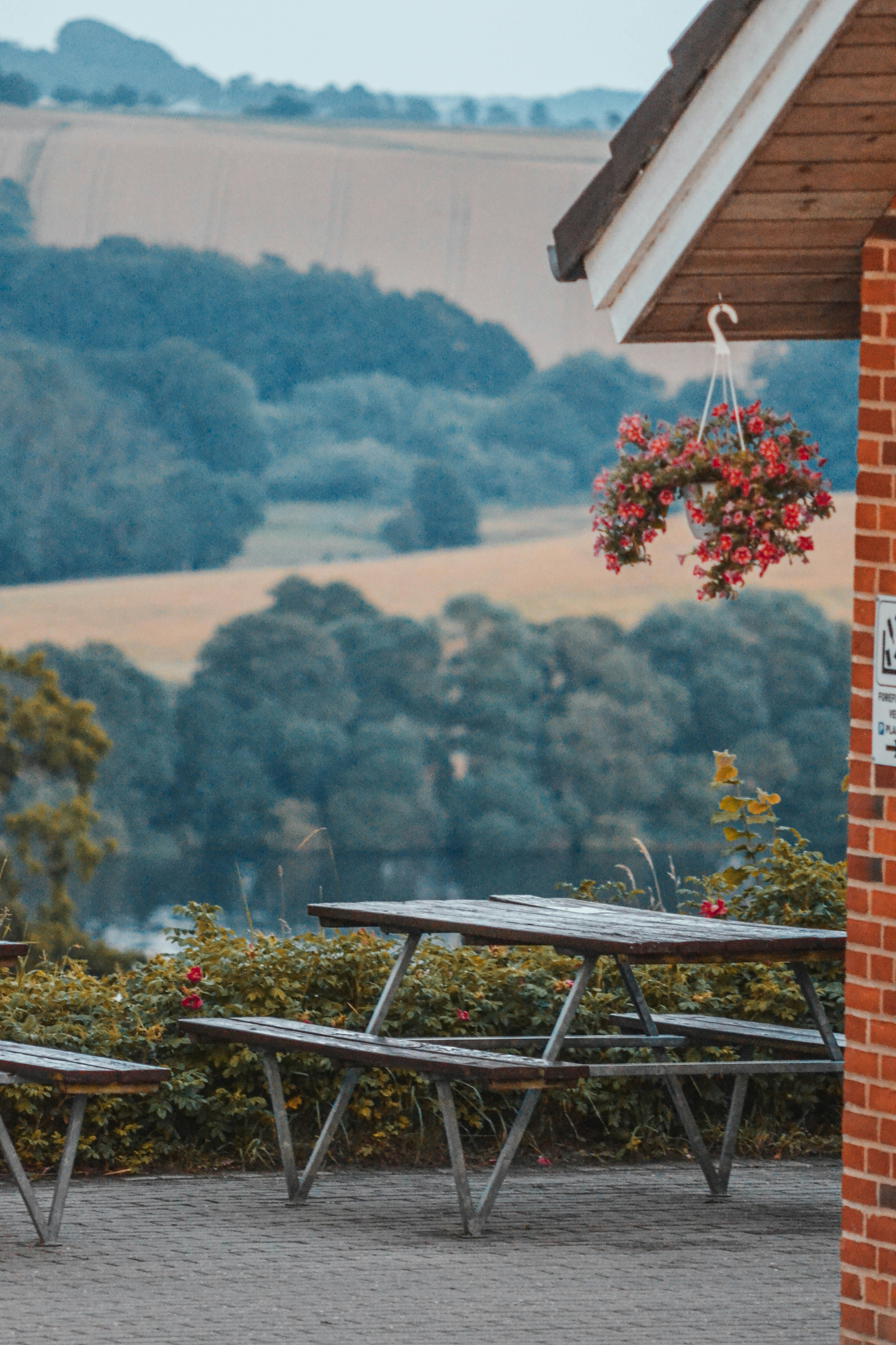 Hanging Blooms by a Riverside Terrace