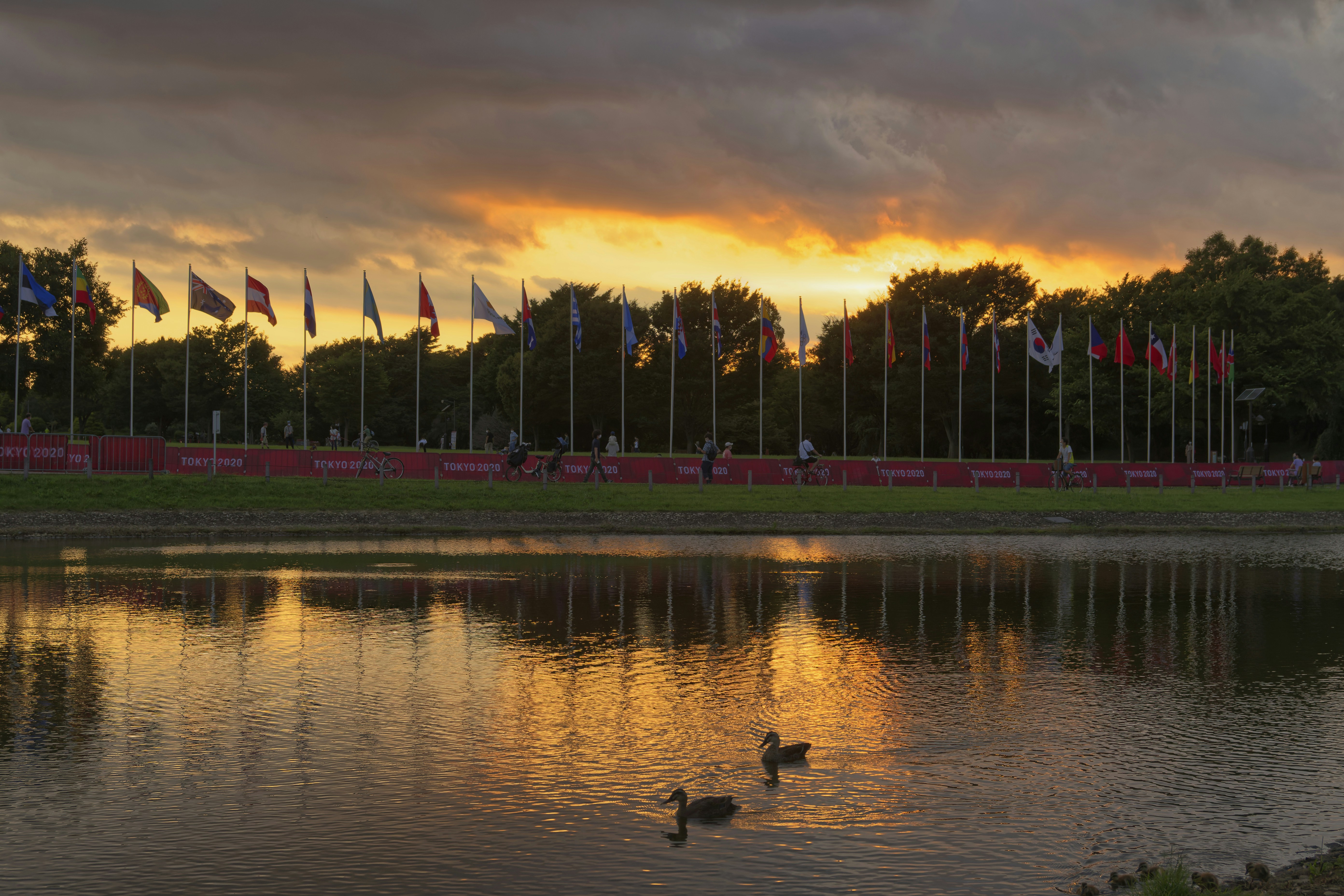 Flag-Lined Sunset over a Quiet Lake with Ducks