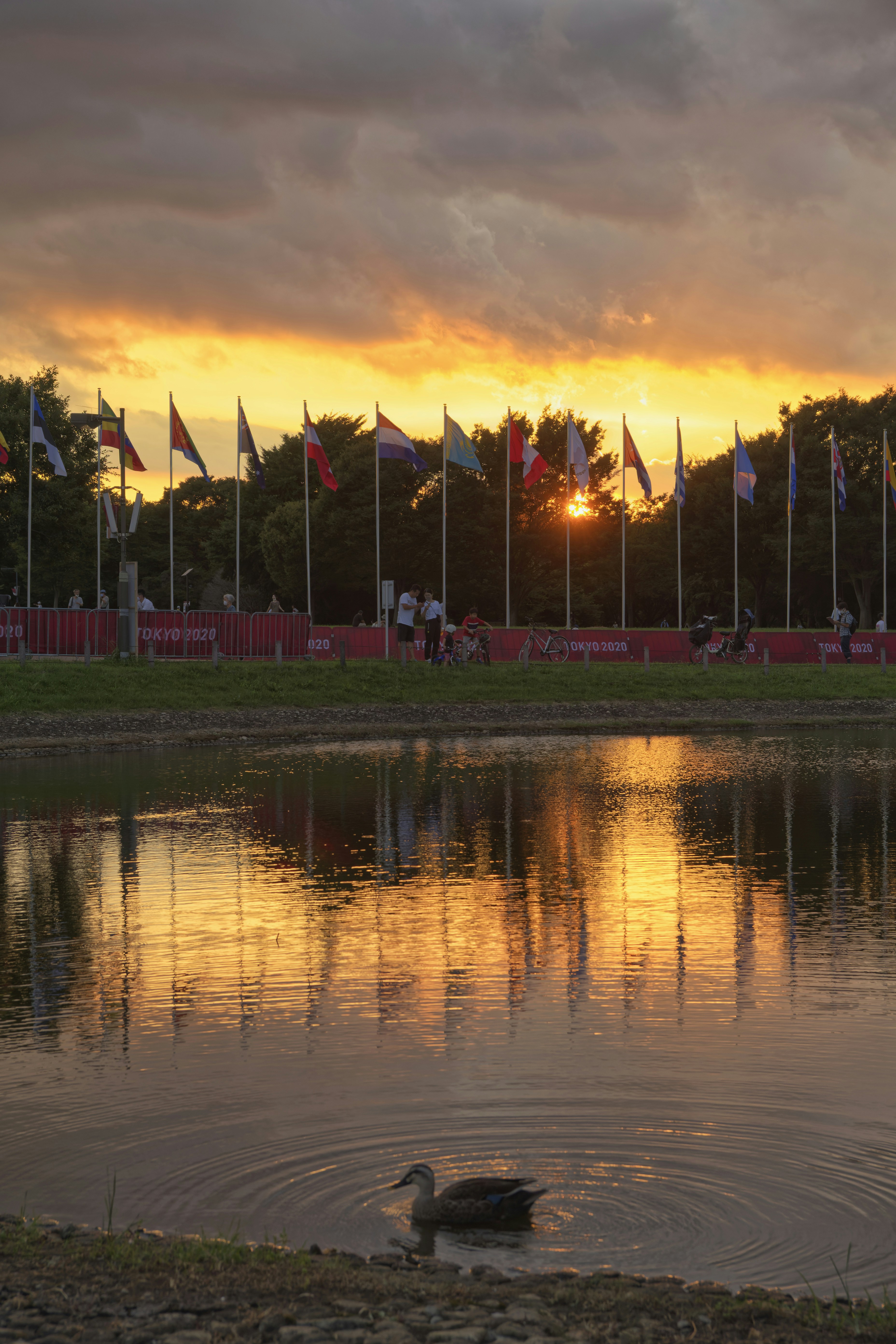 Sunset Promenade: Flags, Reflections, and a Solitary Duck