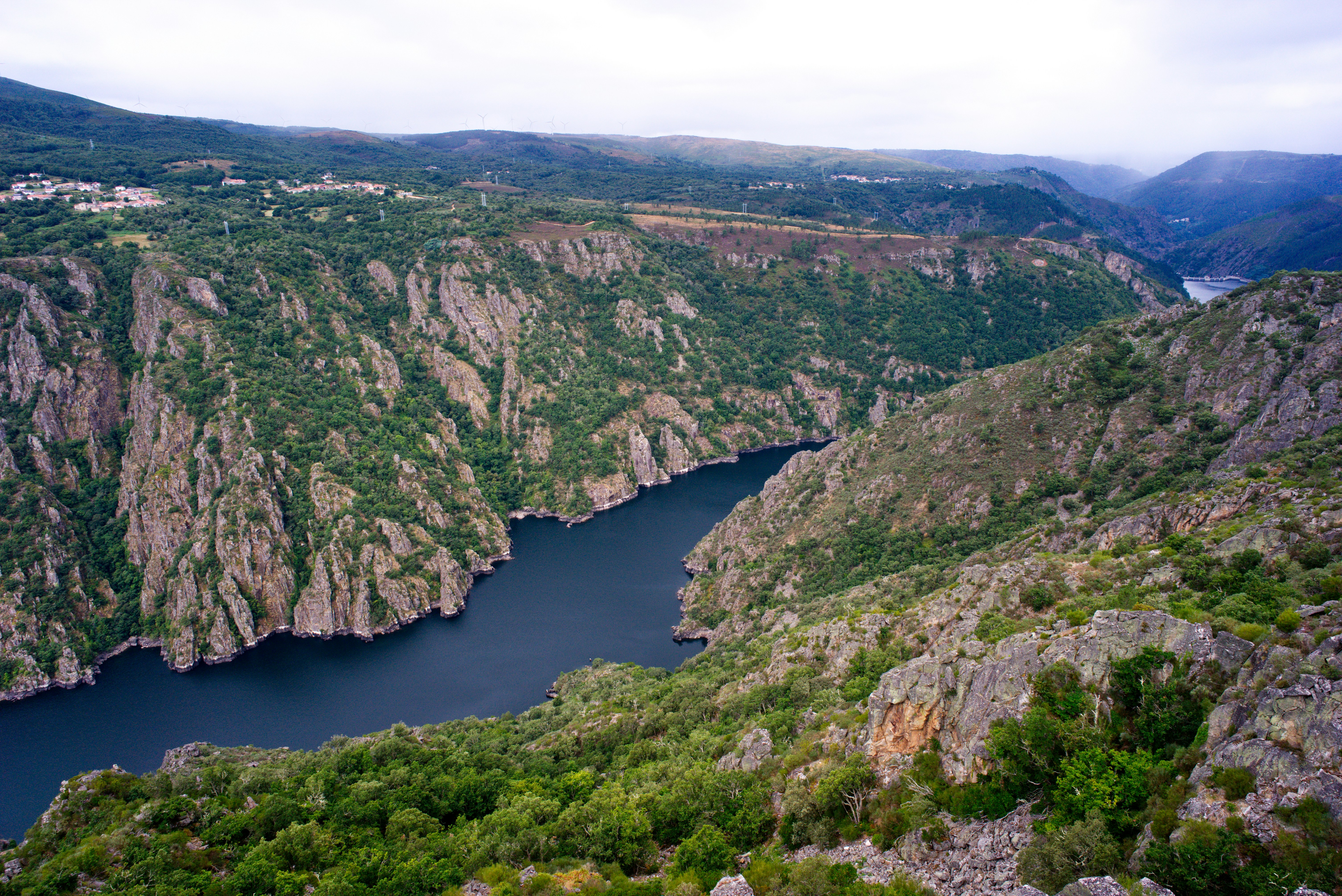 Vast river winding through rugged canyon landscape, framed by lush greenery and rocky outcrops.