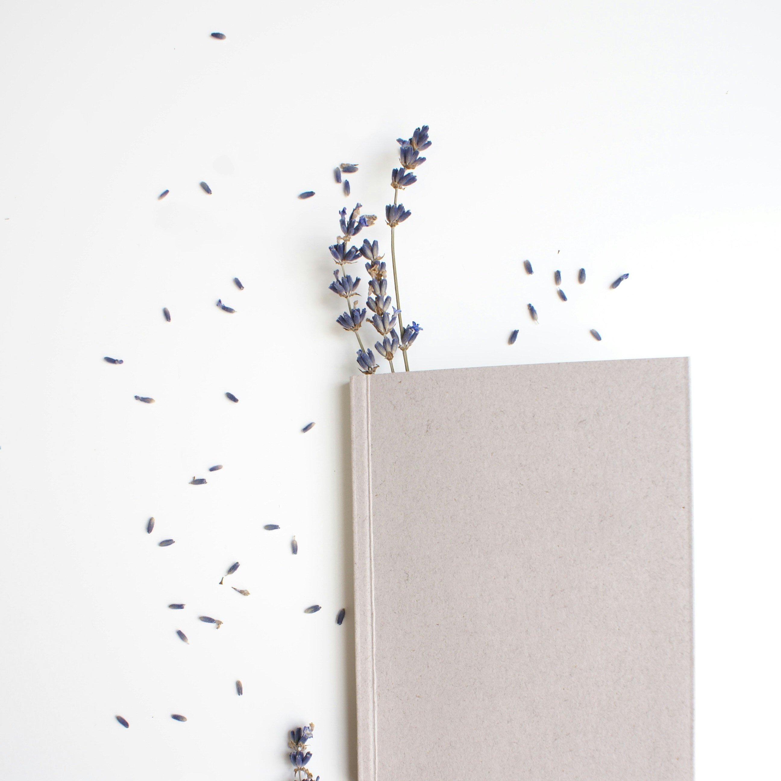 A neutral-toned journal surrounded by delicate lavender sprigs and scattered petals, evoking a sense of calm and creativity.