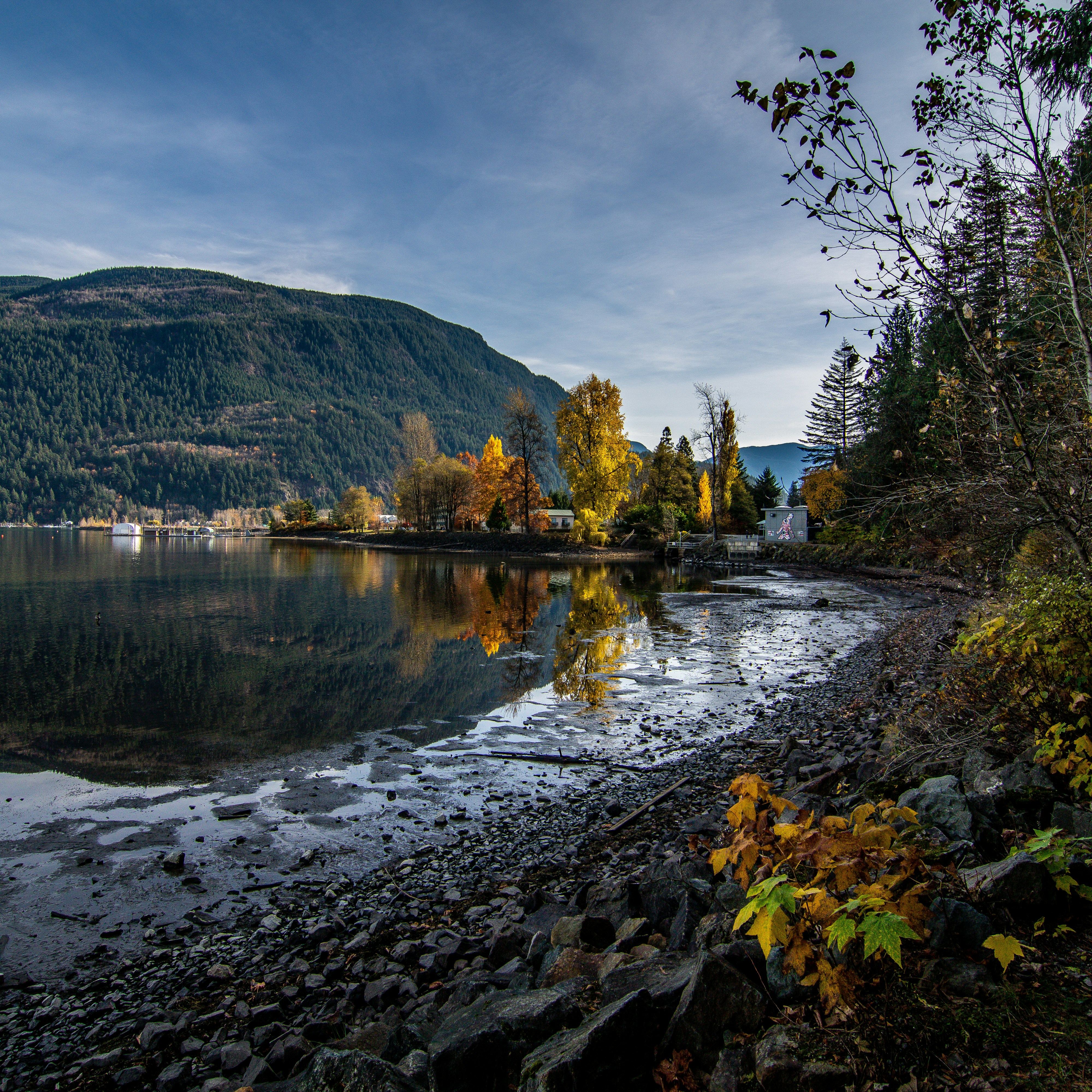 Autumn Shoreline Reflections by the Quiet Lake