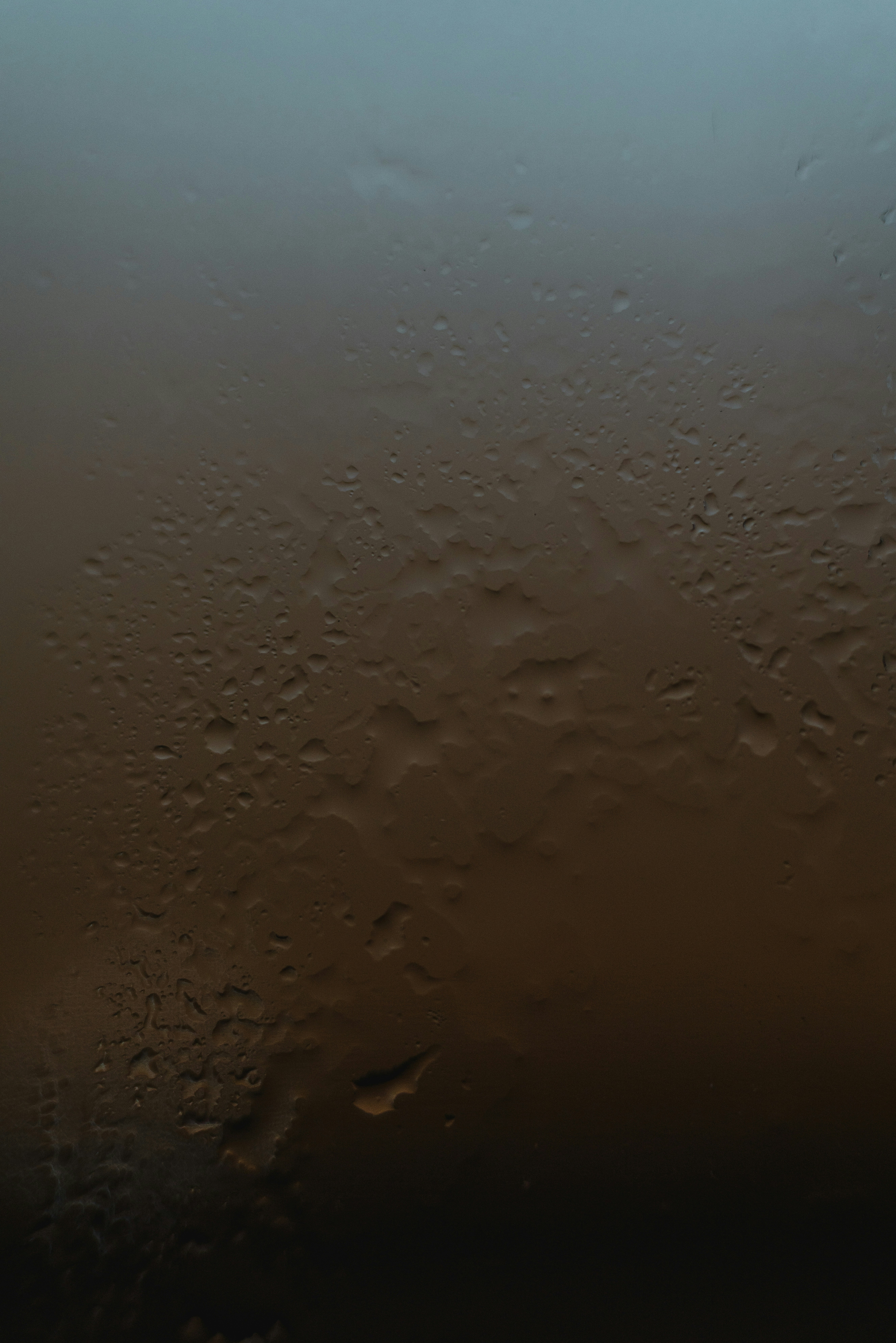 Dew-Glazed Gradient: Macro Texture from Sky Blue to Earthy Brown