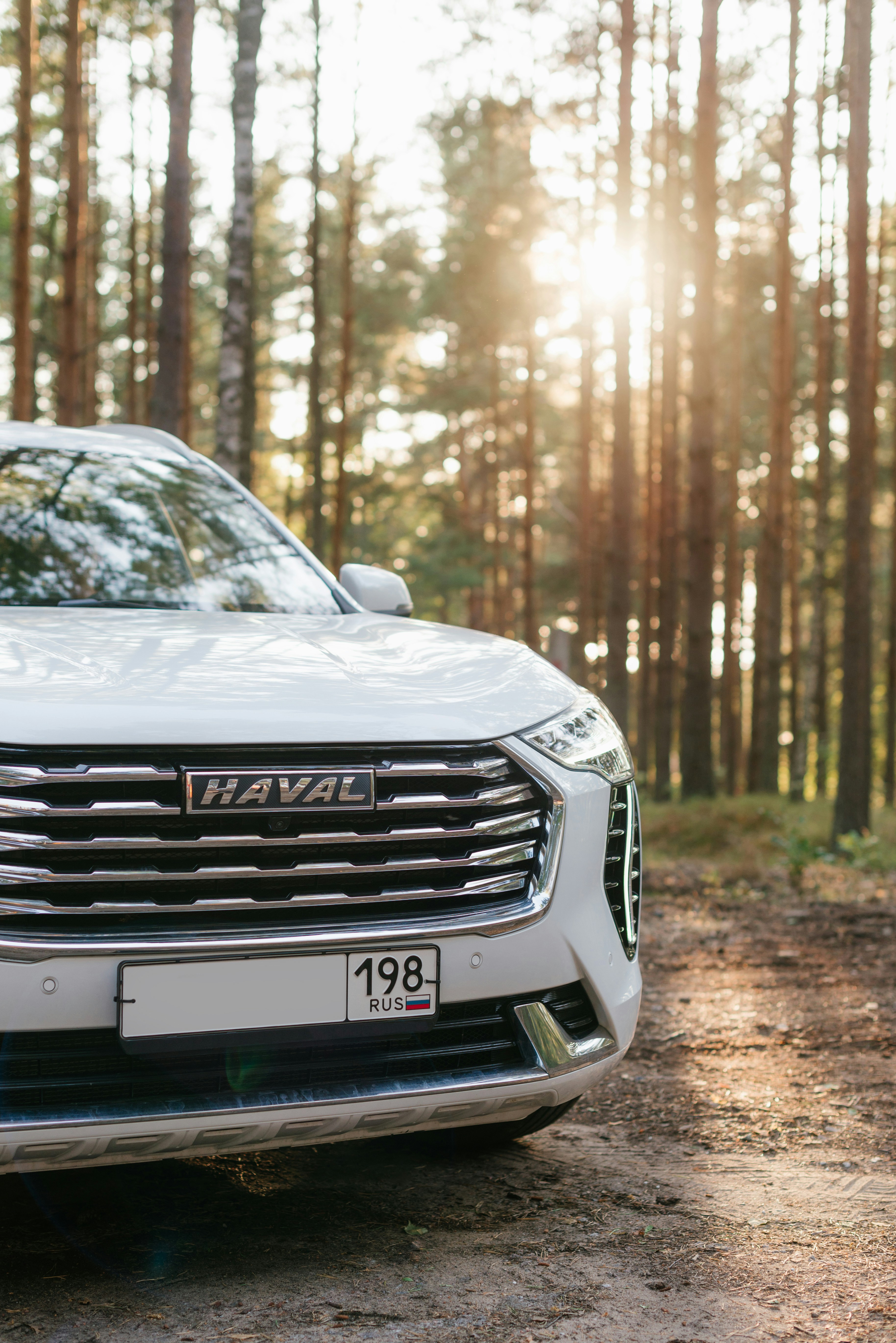 Silver audi car on forest during daytime photo – Free Шепелёво Image on ...