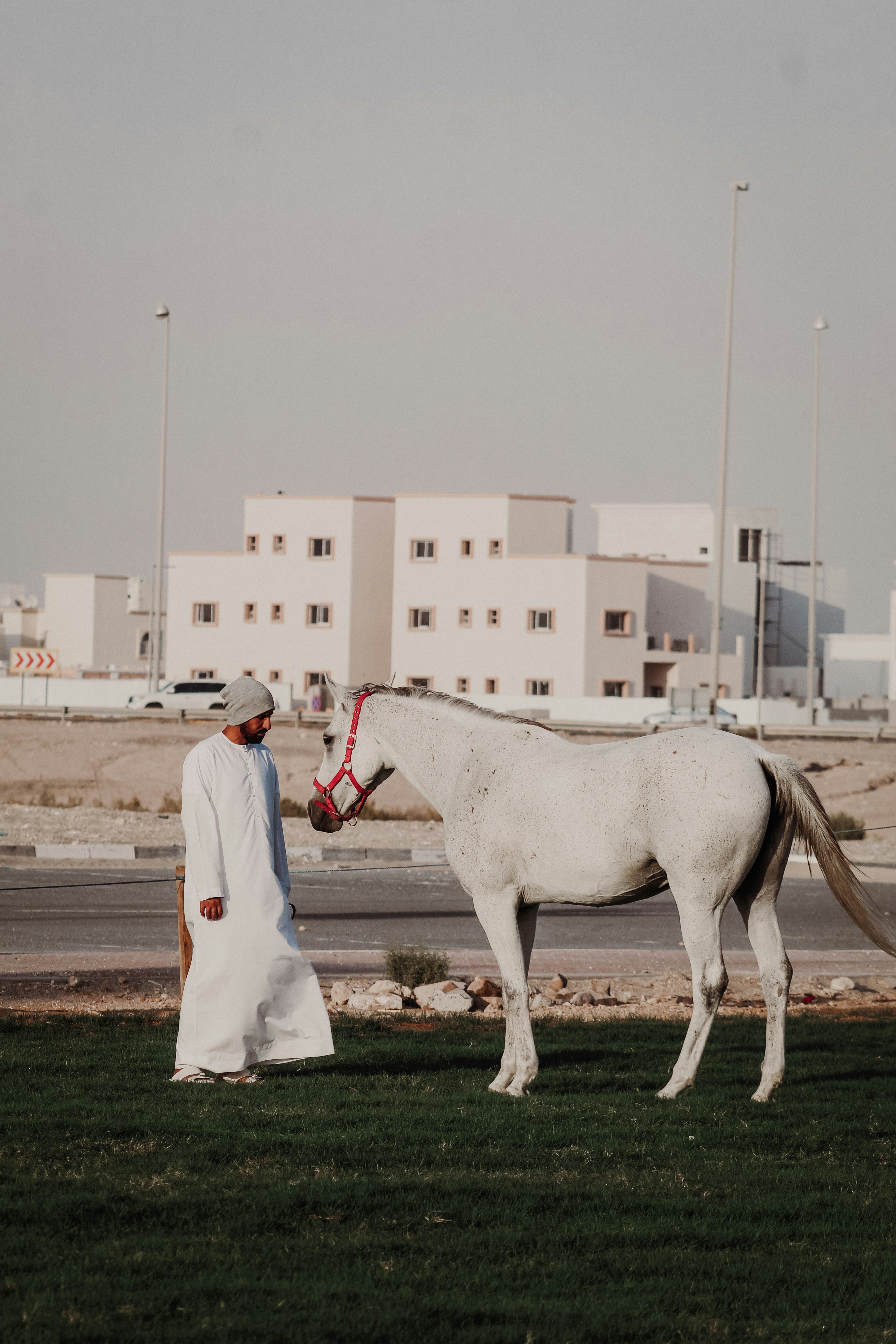 Desert-Edge Suburb: A Man in White Walks with a White Horse