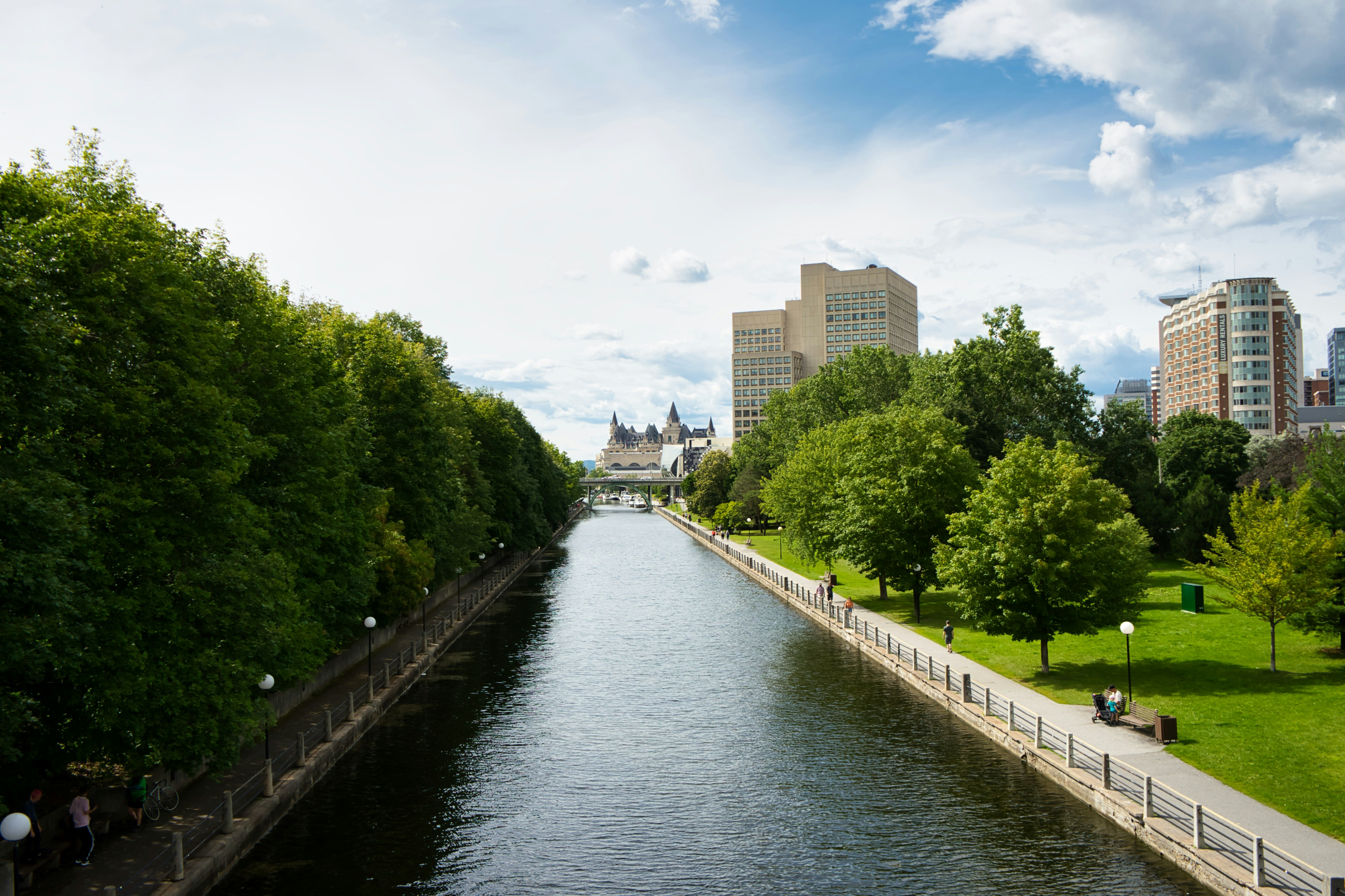 River between green trees and buildings under blue sky during daytime ...
