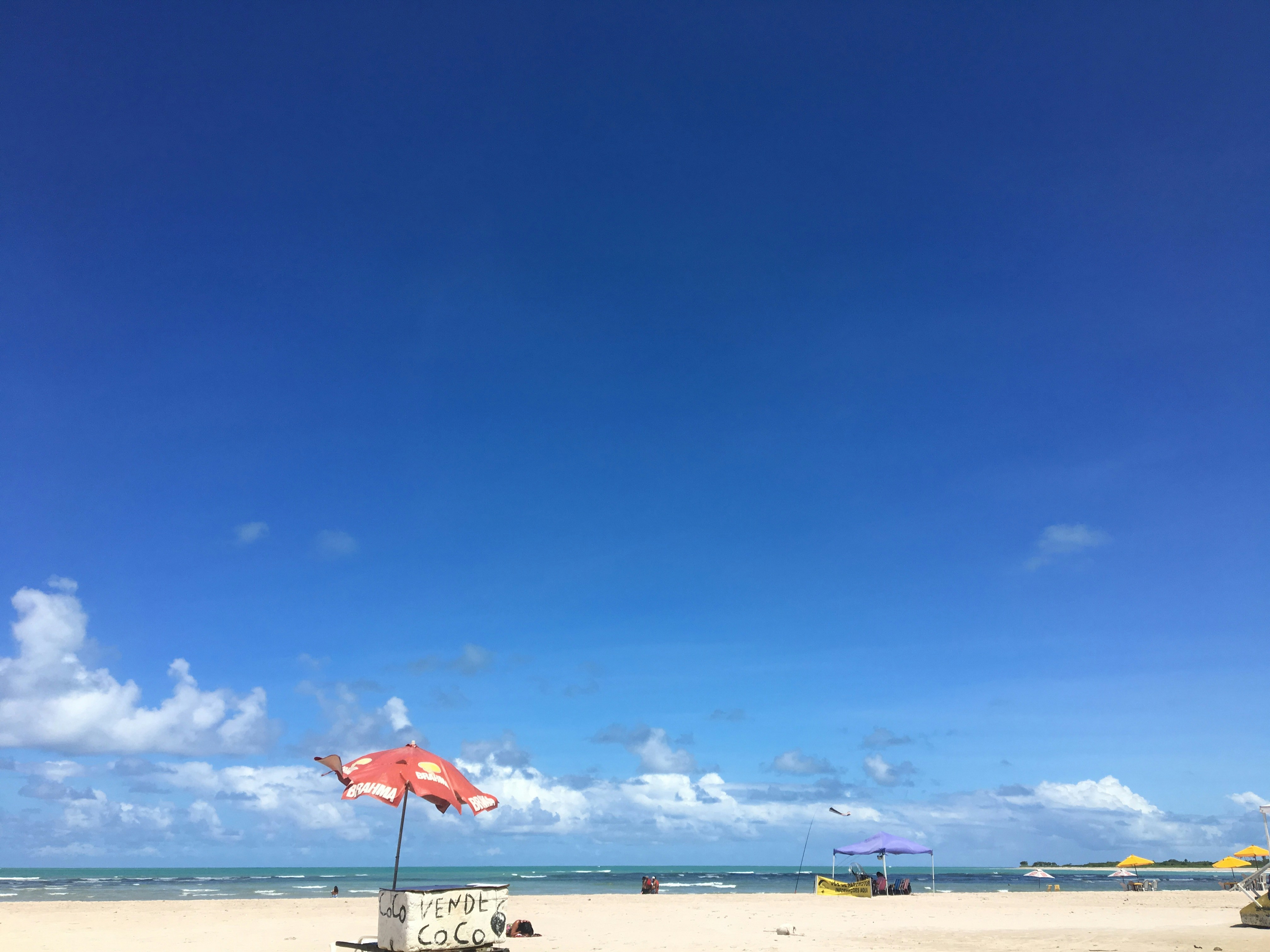 Colorful beach umbrella casting a shadow on sandy shore, with distant umbrellas and a clear blue sky. The scene embodies a tranquil day at the beach.