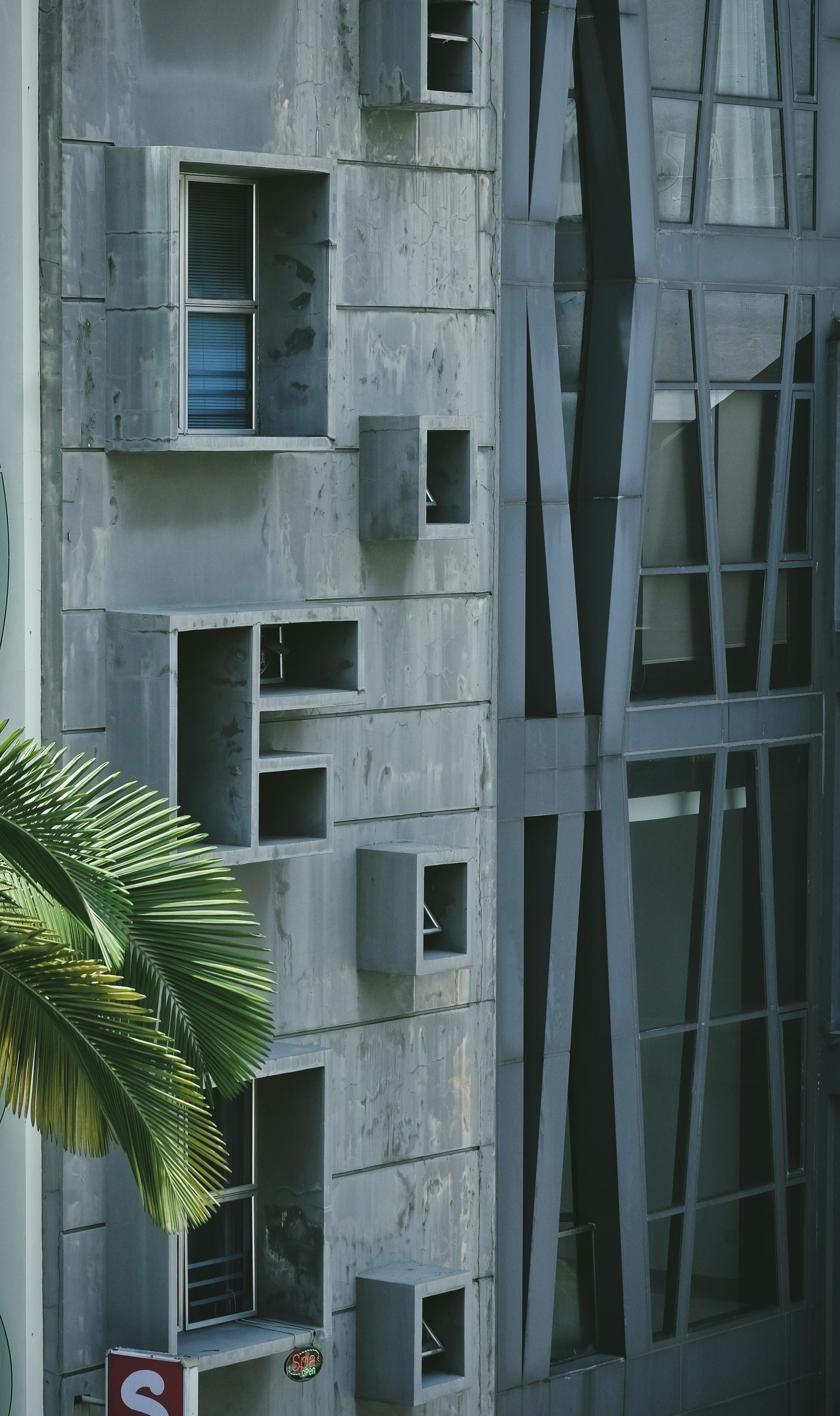 Patchwork Concrete: Windows, Recesses, and a Palm Frond