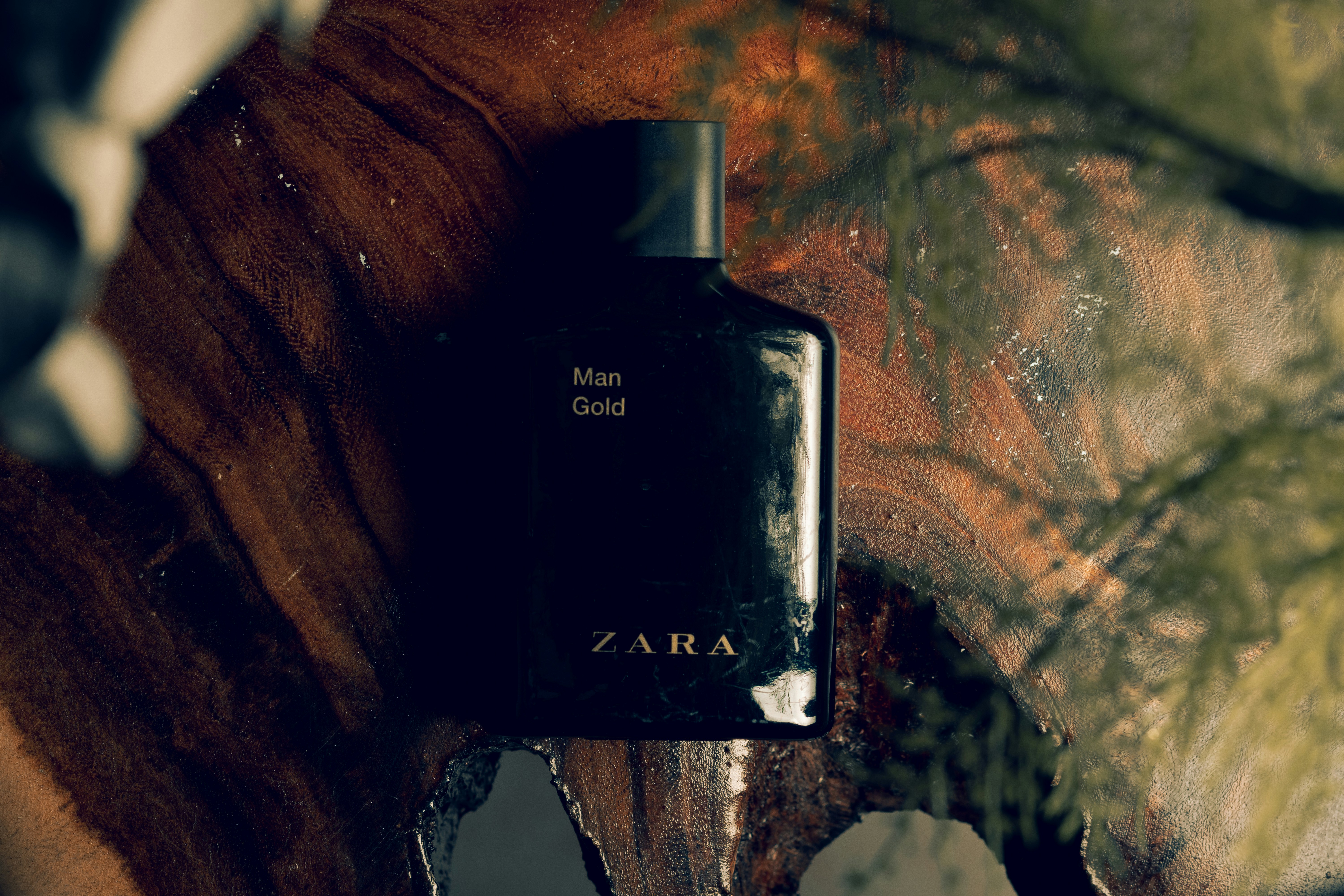 Black bottle of Zara Man Gold fragrance positioned on a textured wooden surface, surrounded by soft foliage.