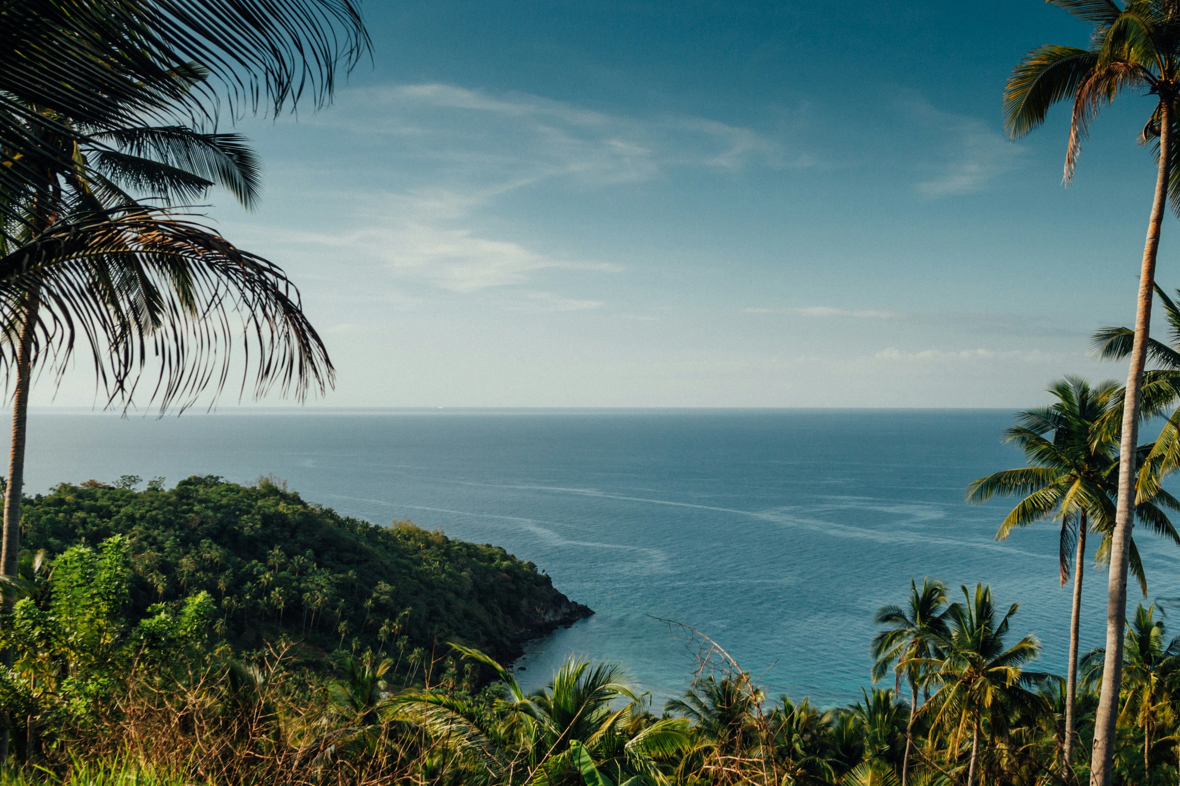 Green palm tree near blue sea under blue sky during daytime photo ...