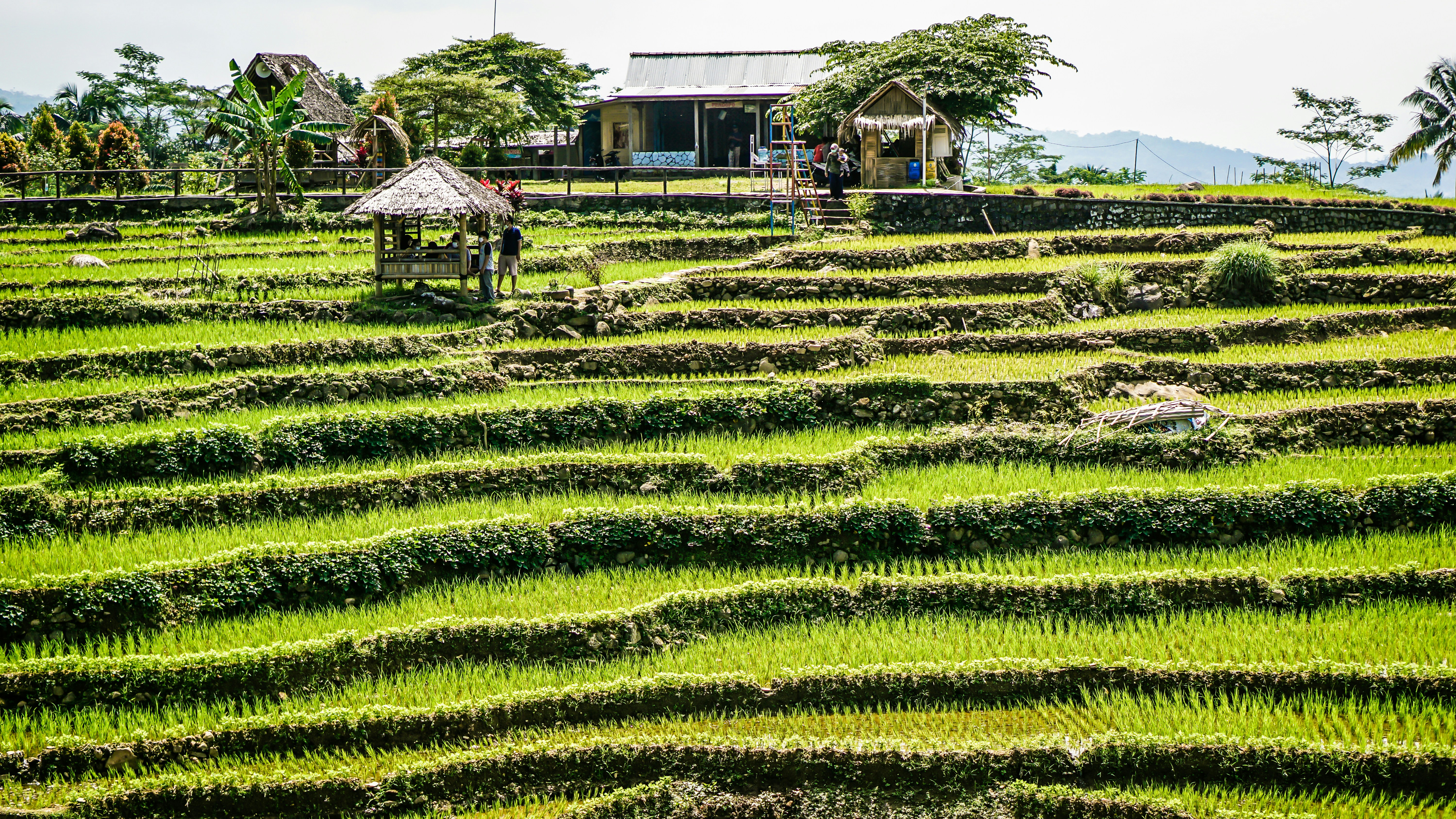 Brown wooden house on green grass field during daytime photo – Free Banyumas Image on Unsplash