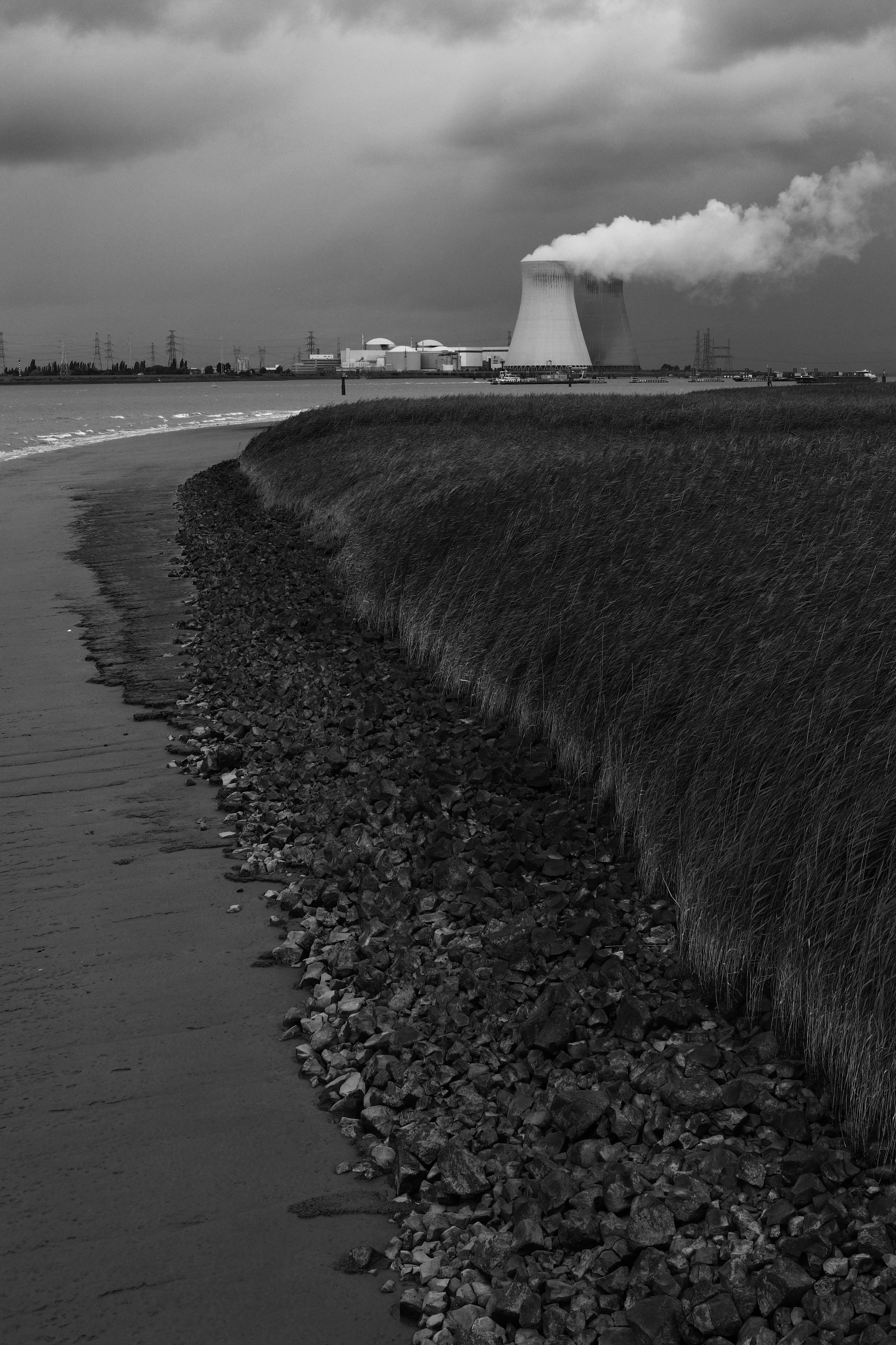 Monochrome Horizon: Marsh Grass Meets Distant Cooling Towers