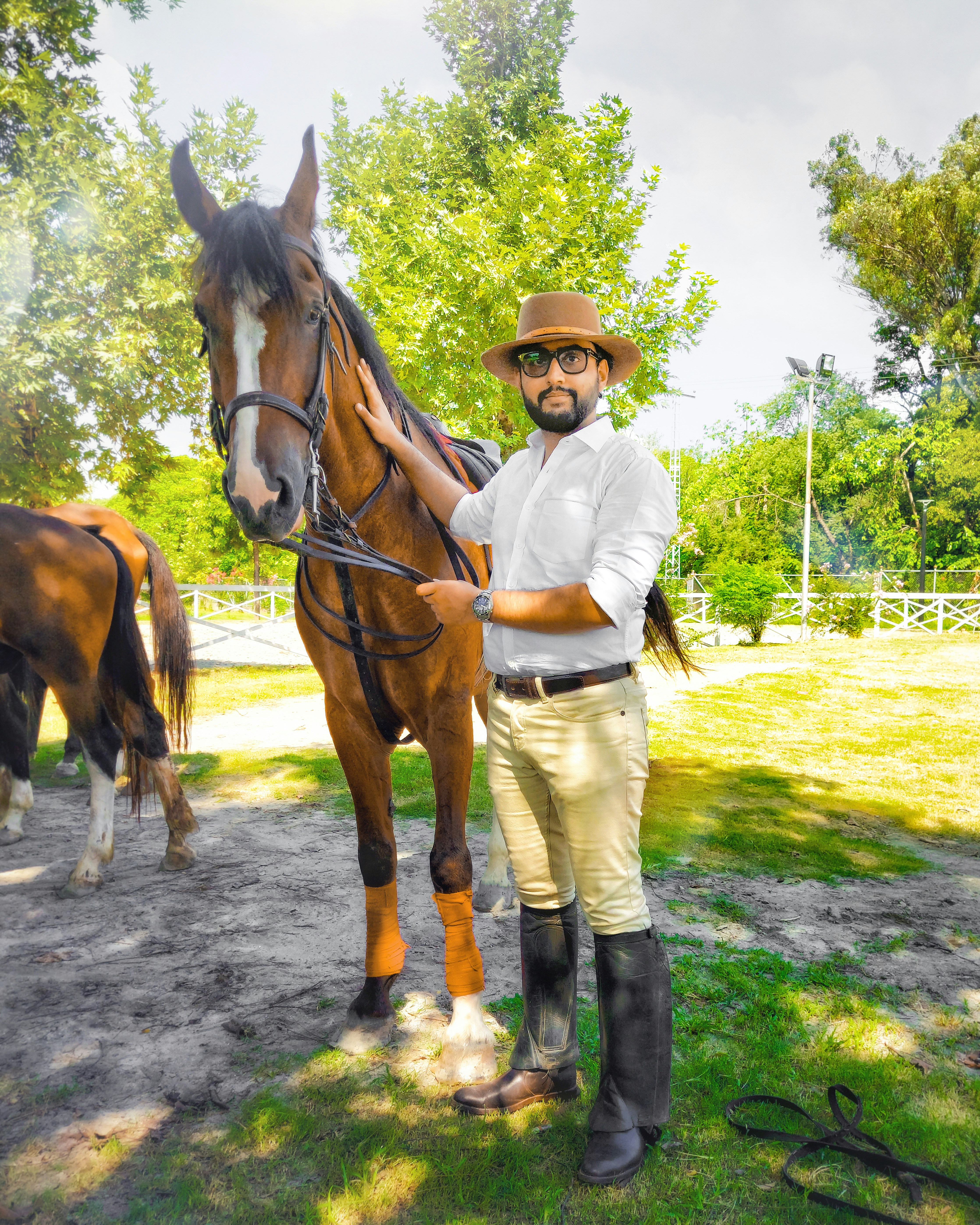 Sunlit Bond in the Paddock: A Man in White with His Horse