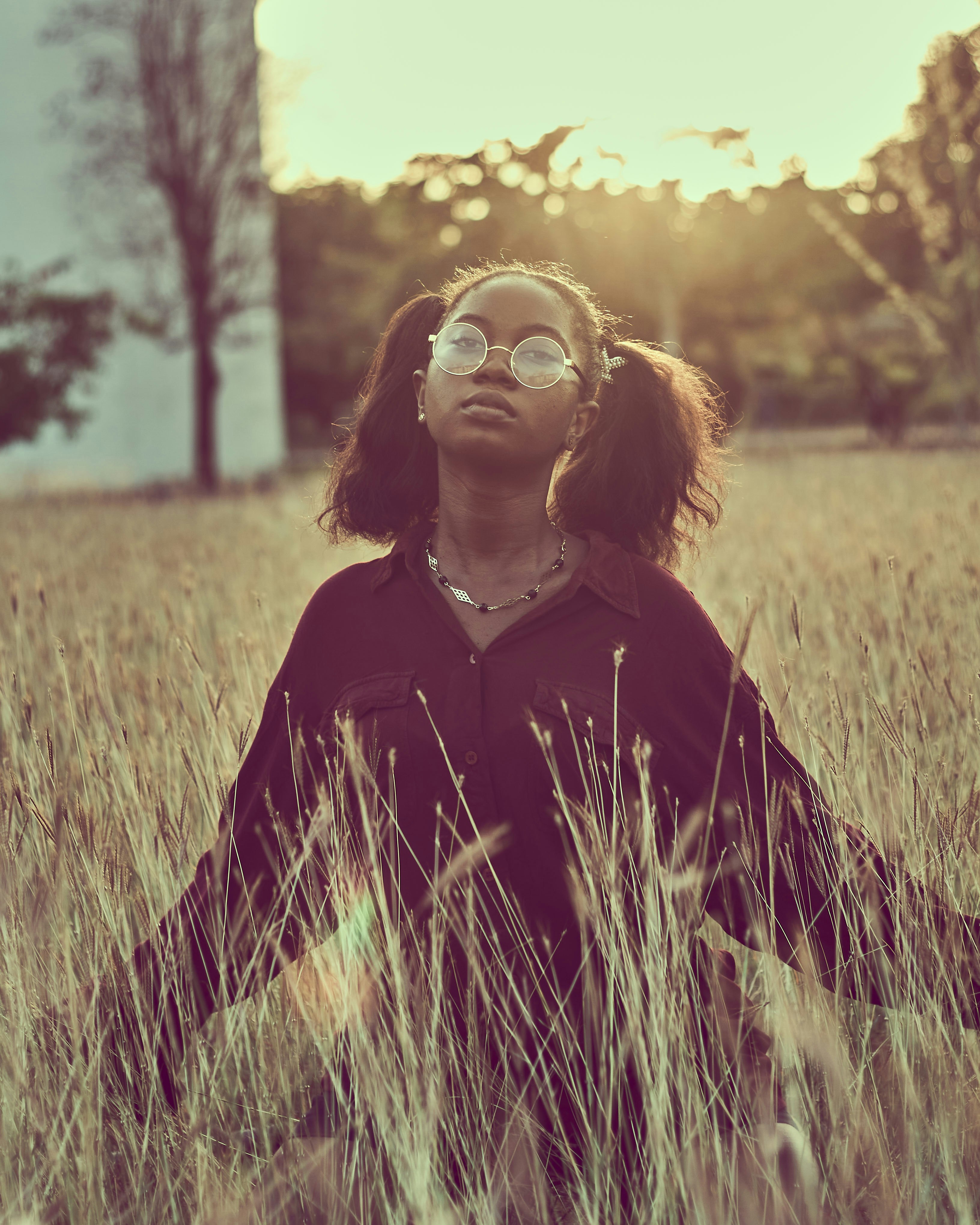 Golden Hour Gaze in a Field of Tall Grass