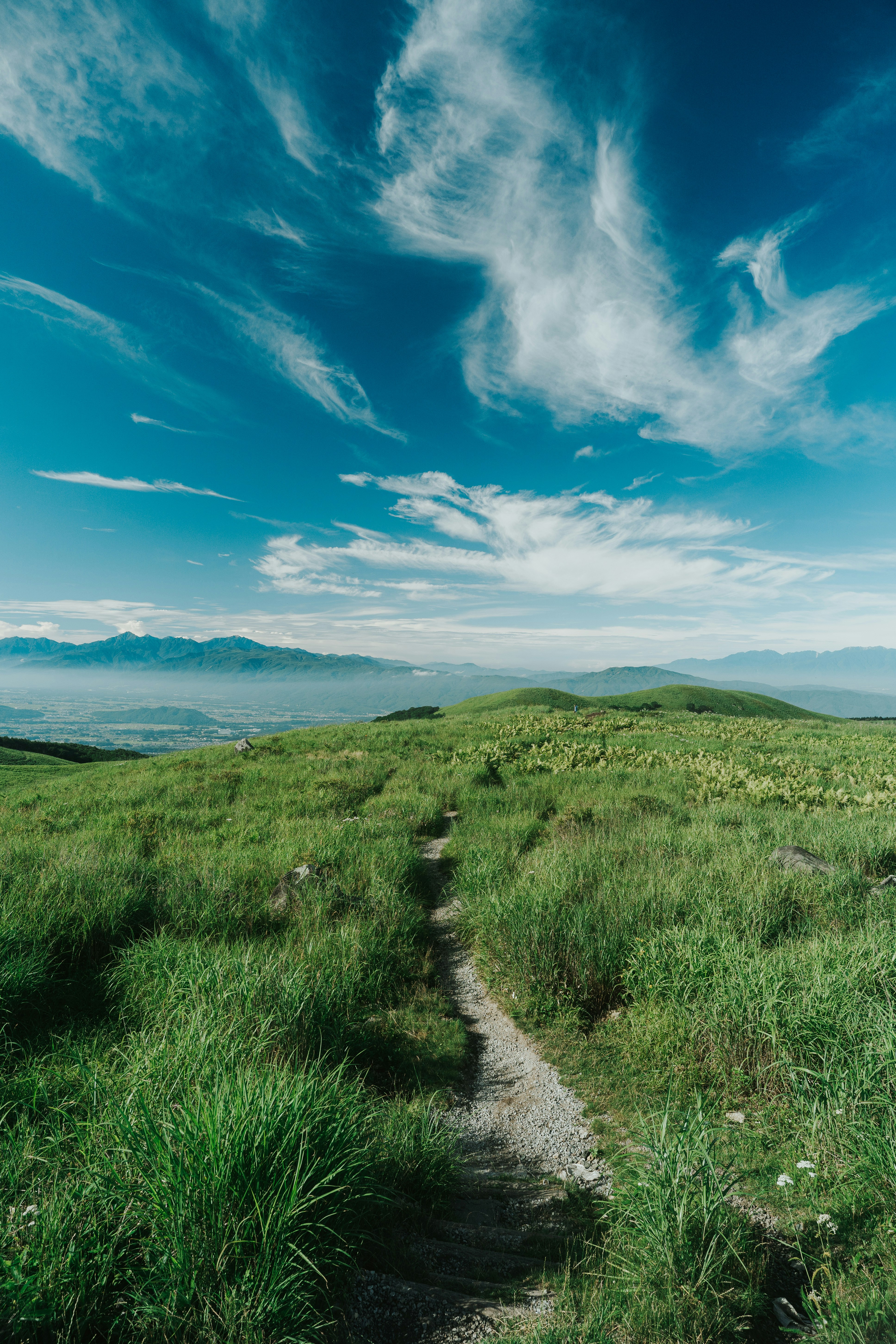 green grass field under blue sky during daytime