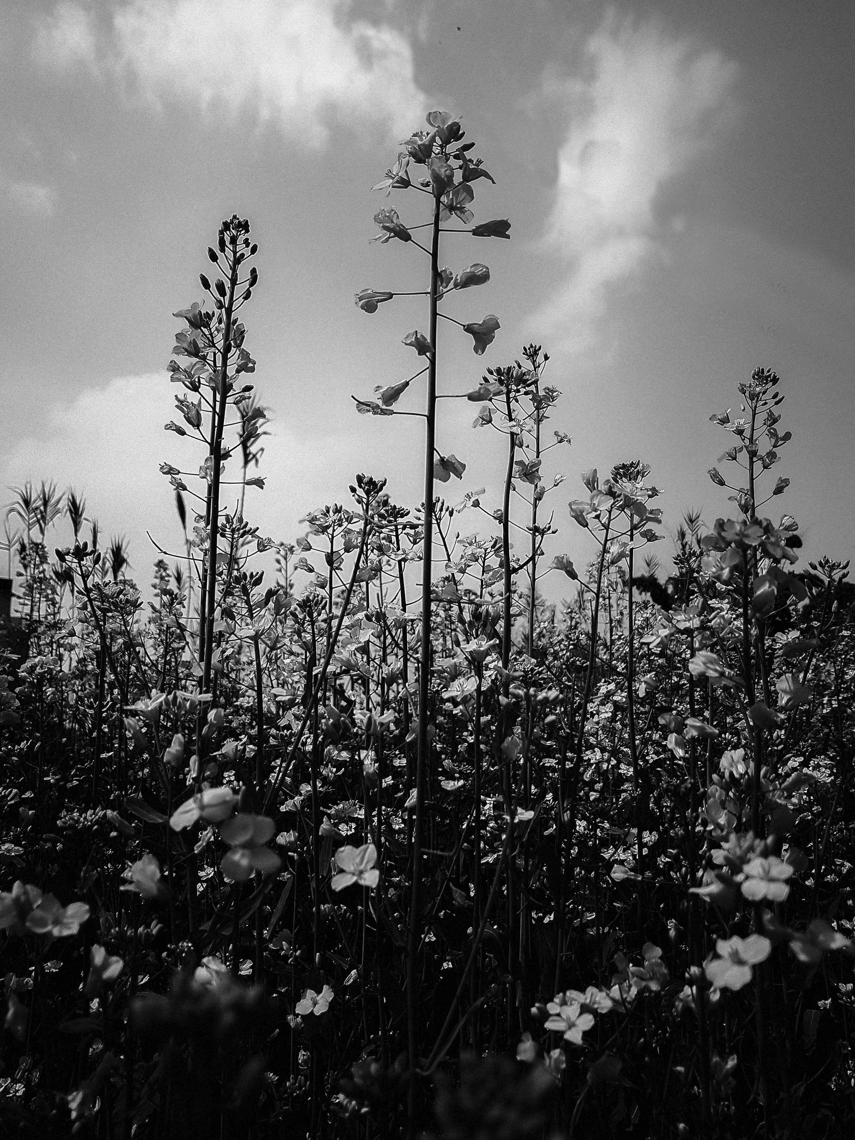 Binit Sharma (@binifty) | Unsplash Photo Community