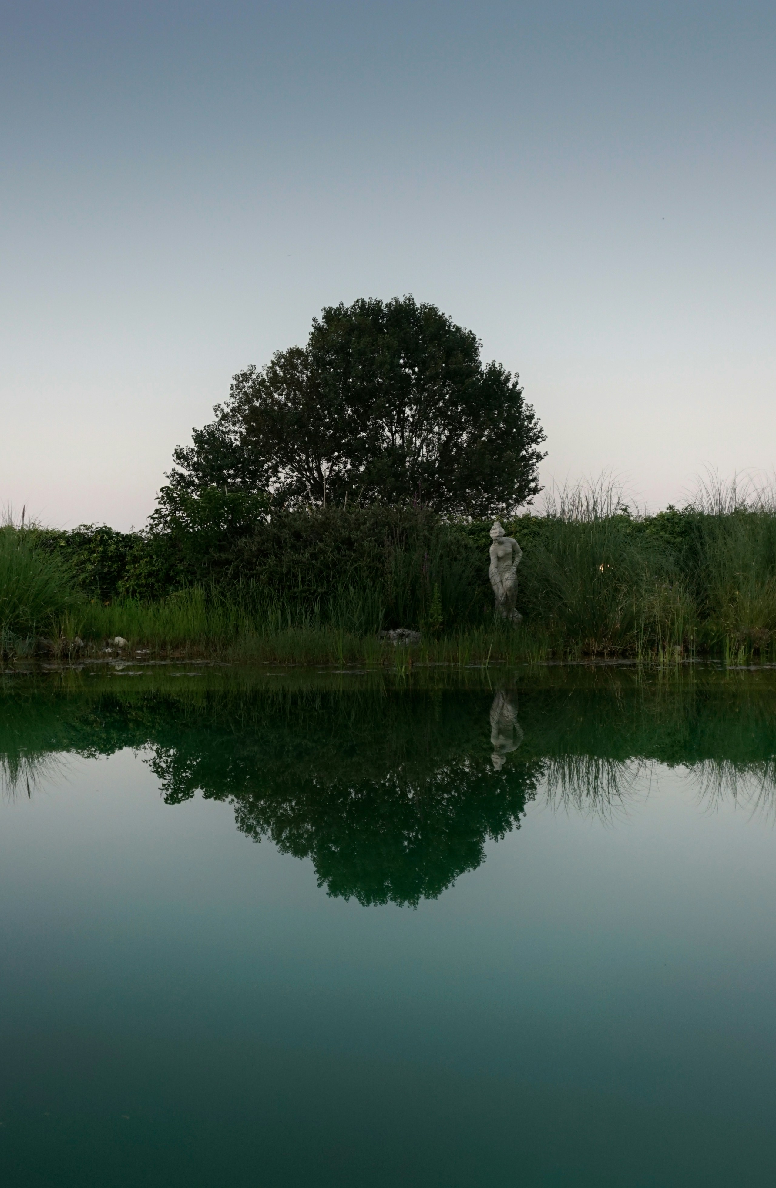 Green grass and trees near lake during daytime photo – Free Lake Image ...