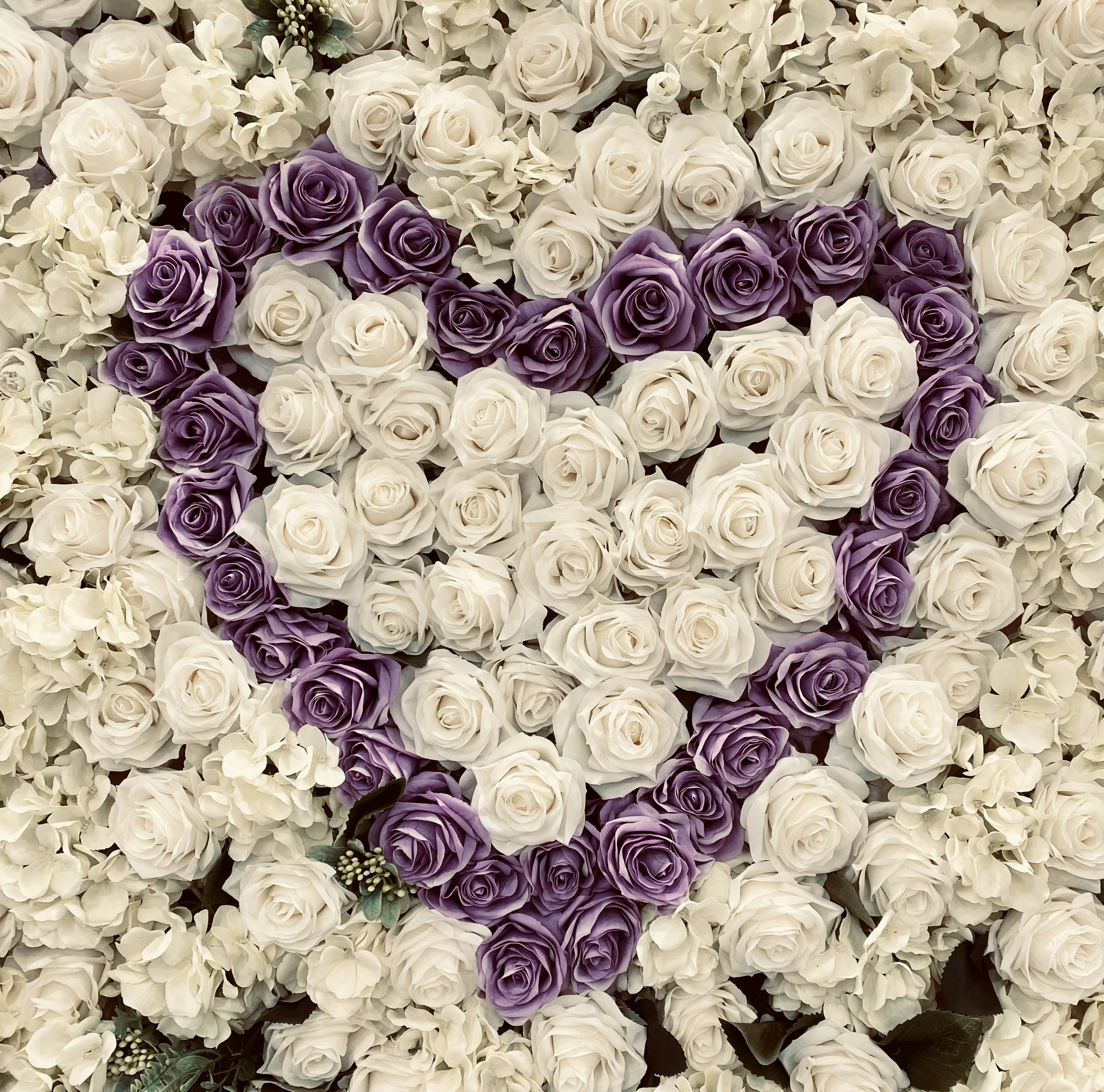 white and purple flower petals